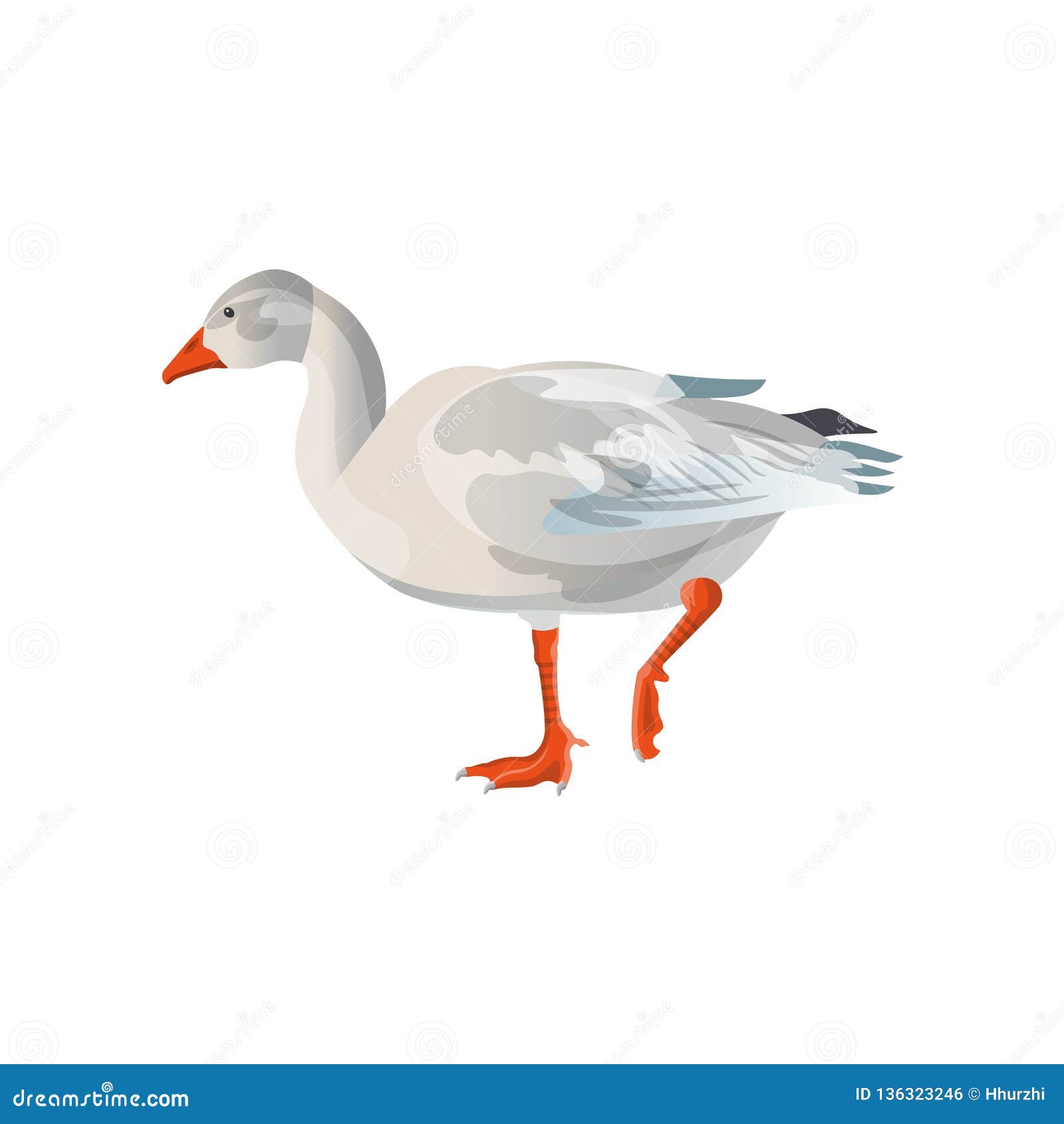 Snow goose vector stock vector. Illustration of meat - 136323246