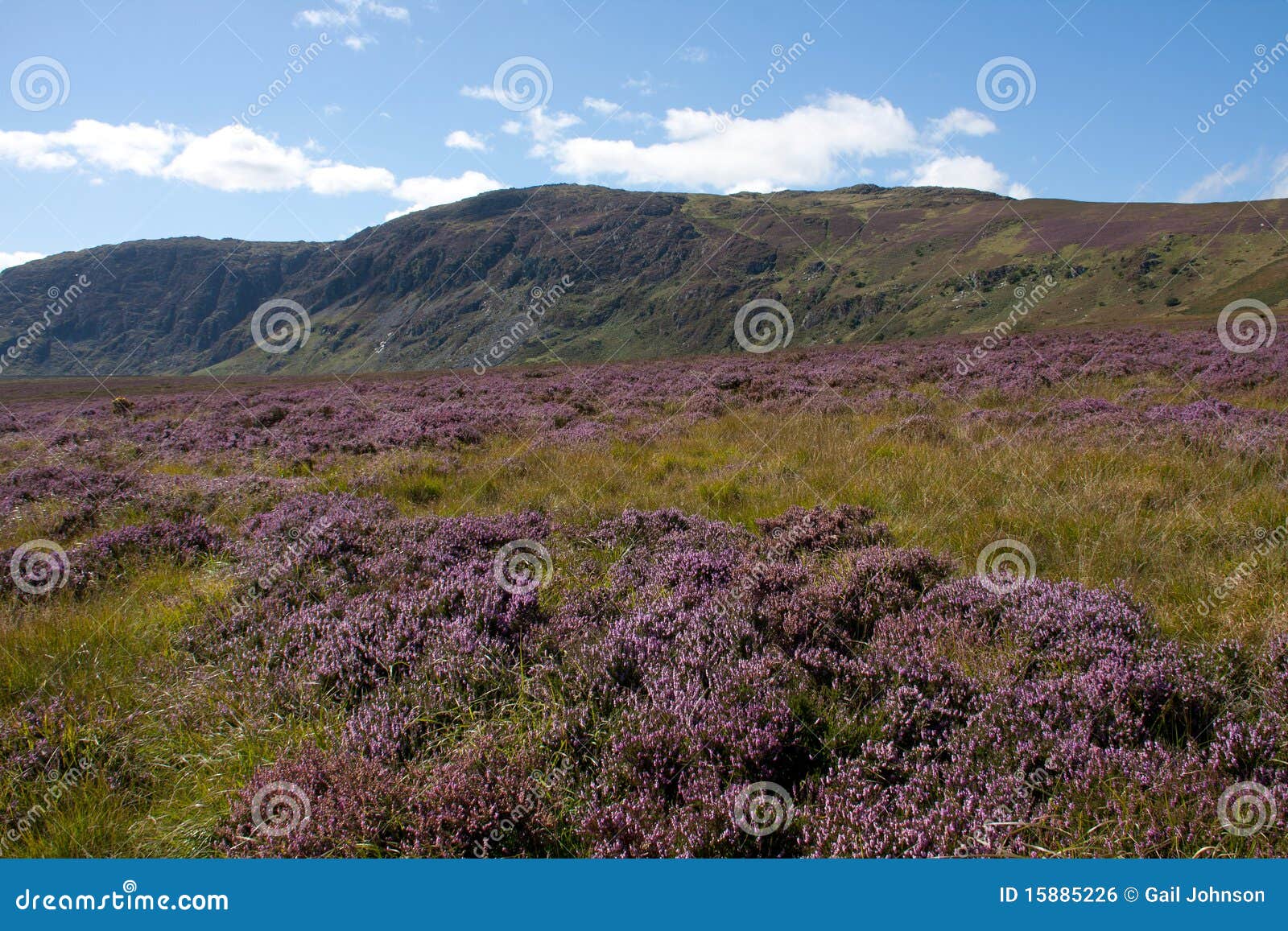 Walking in Snowdonia stock photo. Image of fell, pink - 15885226