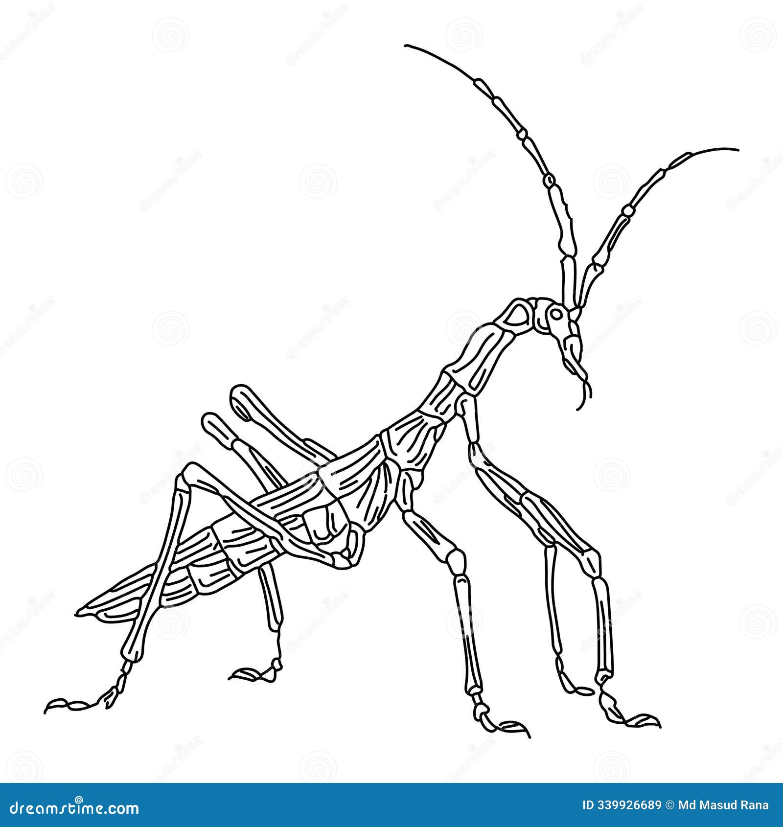 Walking Stick Bug Simple Outline Vector Illustration Line Art Stock ...