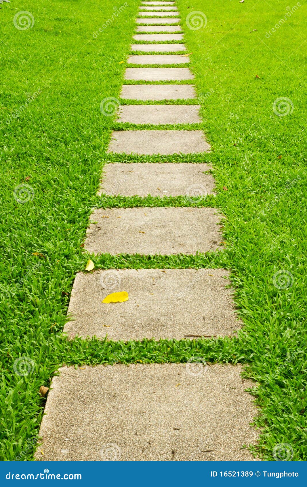 Walking stone stock image. Image of natural, outside - 16521389