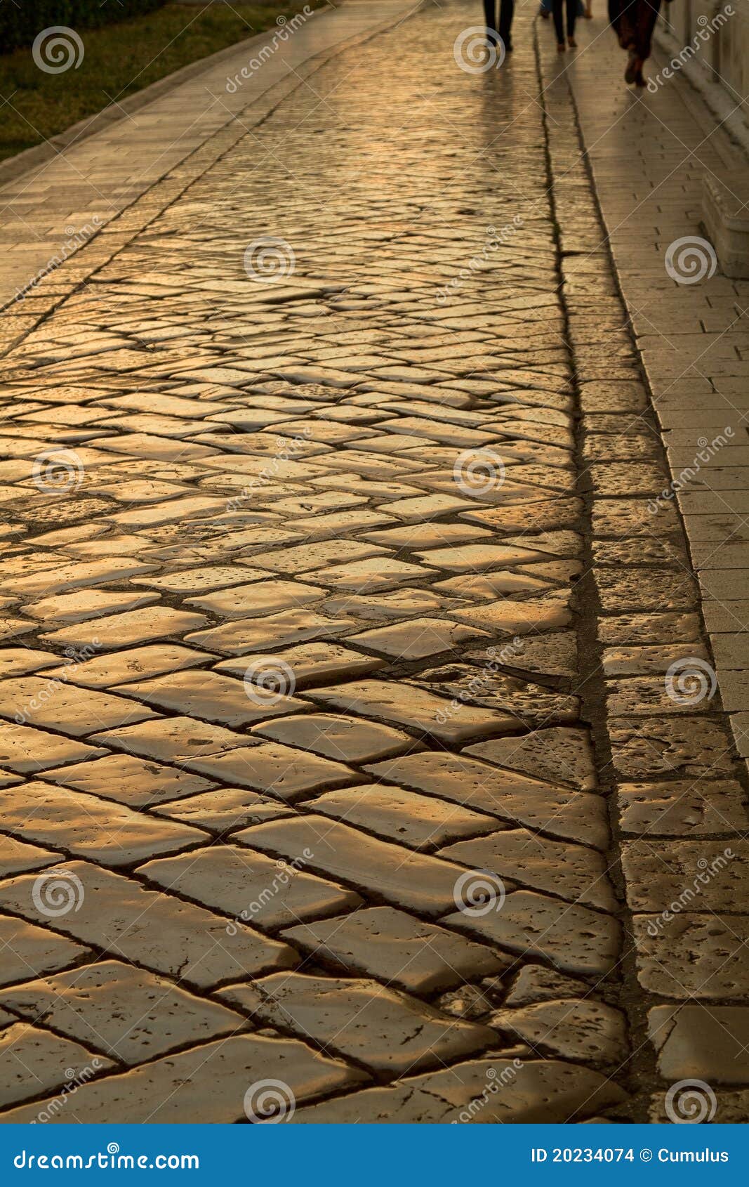 Walking a street of gold. stock photo. Image of shiny - 20234074