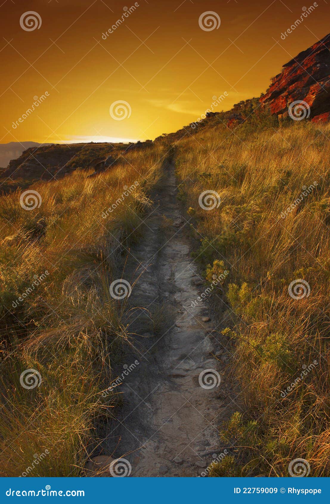 Walking in the sunset stock image. Image of sunrise, sunset - 22759009