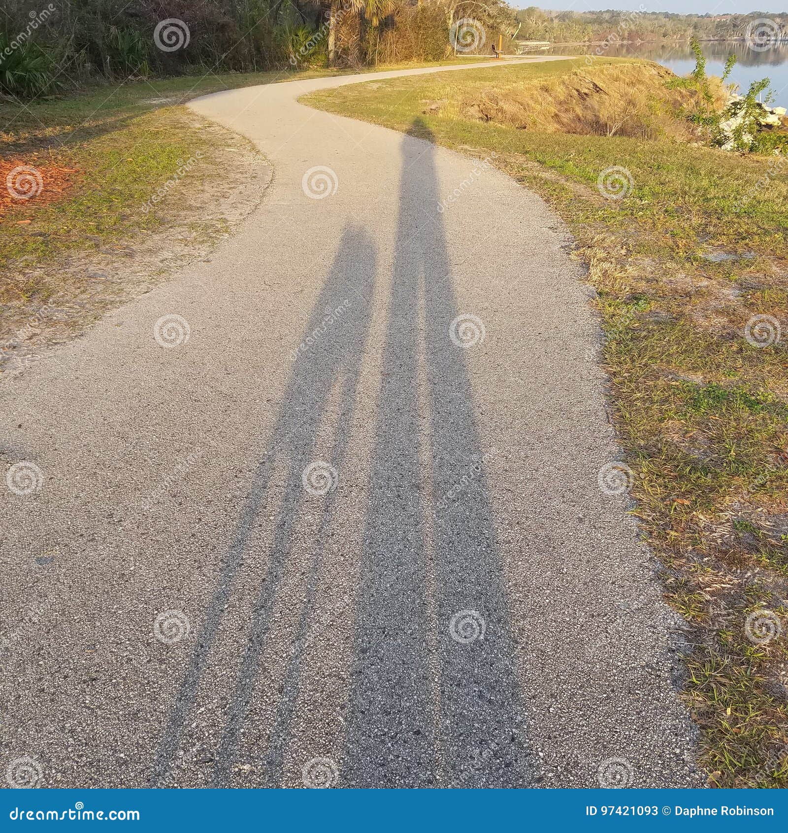 Walking Tall stock image. Image of tall, waterway, path - 97421093