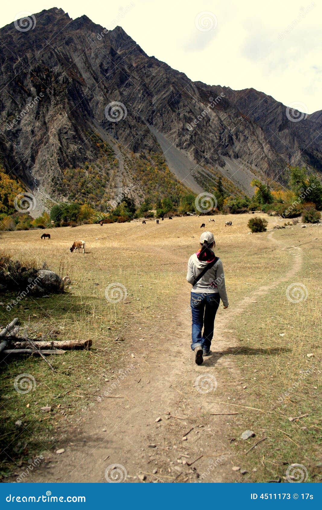 Walking through the Tibet Valley Path Stock Image - Image of explore ...