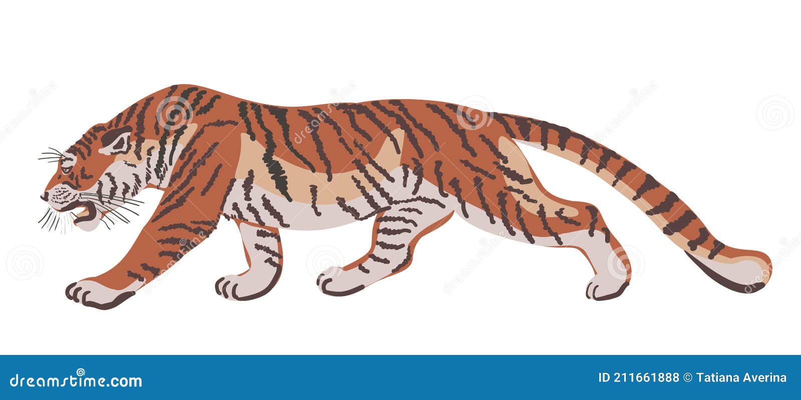 Walking Tiger. Vector Illustration, Isolated on White Stock Vector ...