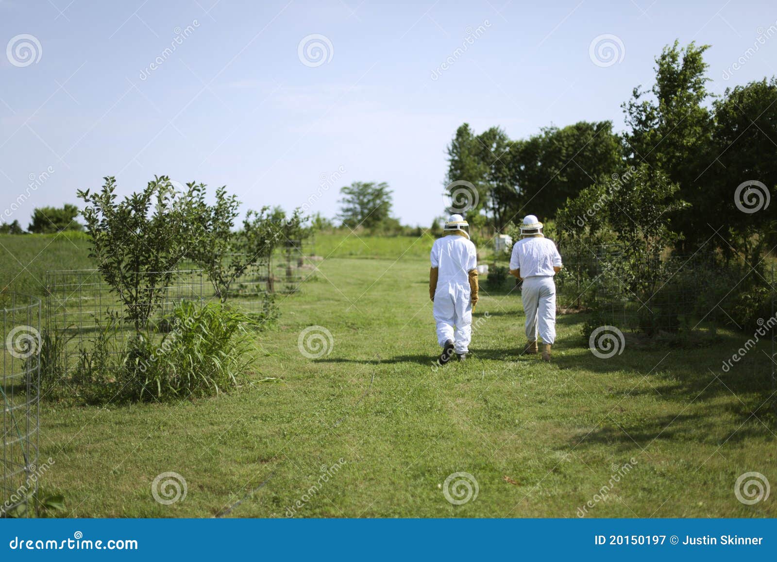Walking to the Bee Hive stock image. Image of country - 20150197