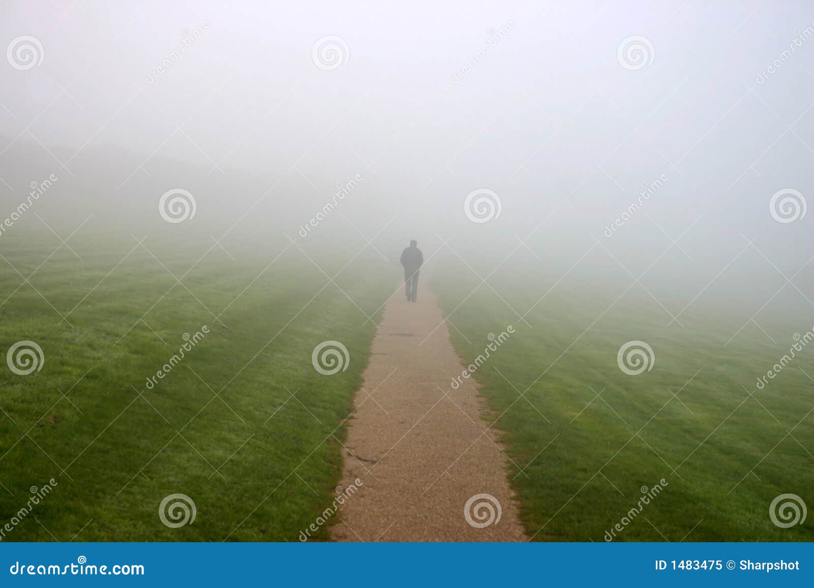 Walking in to the mist stock image. Image of eerie, gray - 1483475