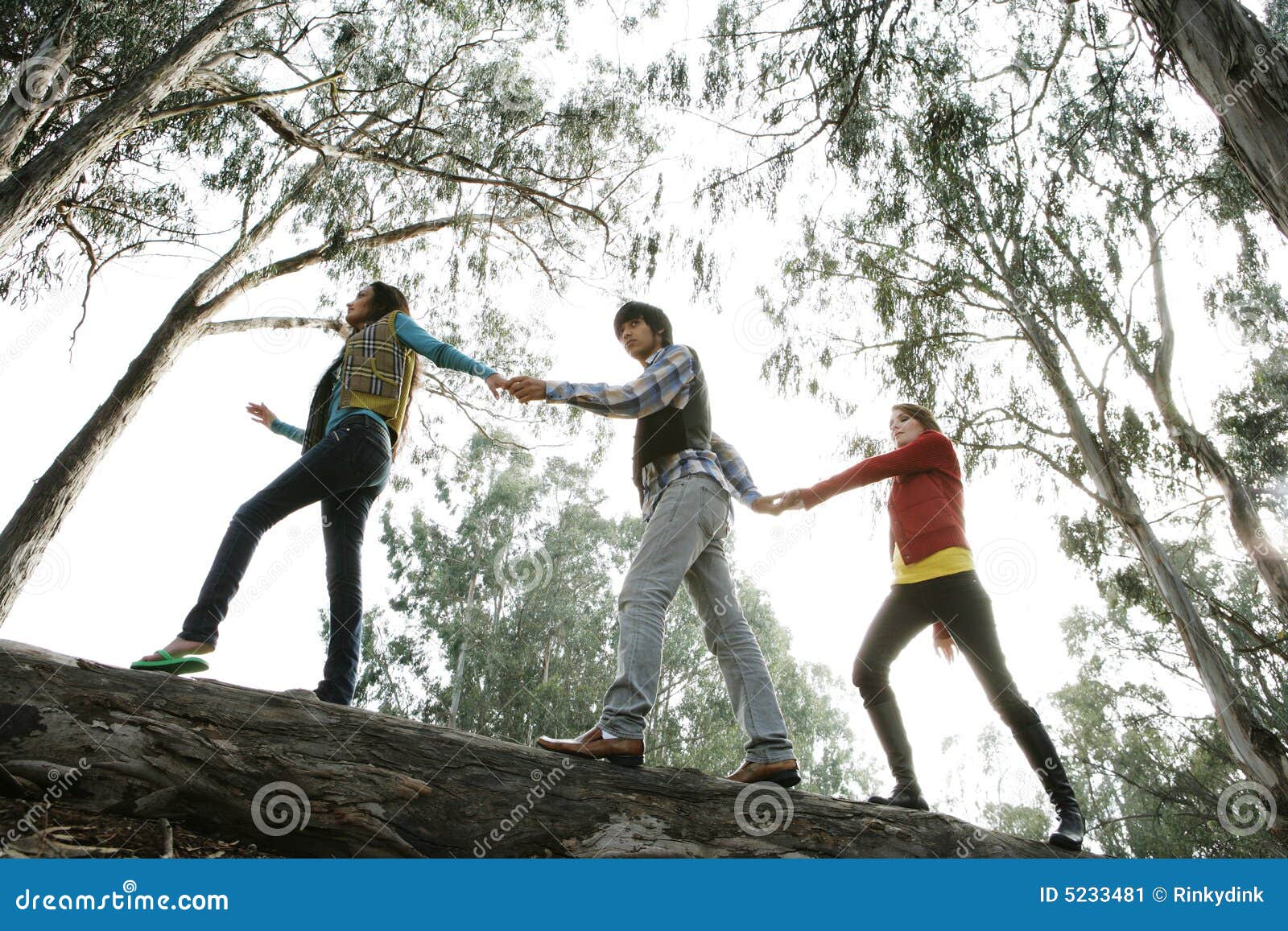 Walking together stock image. Image of friends, walk, female - 5233481