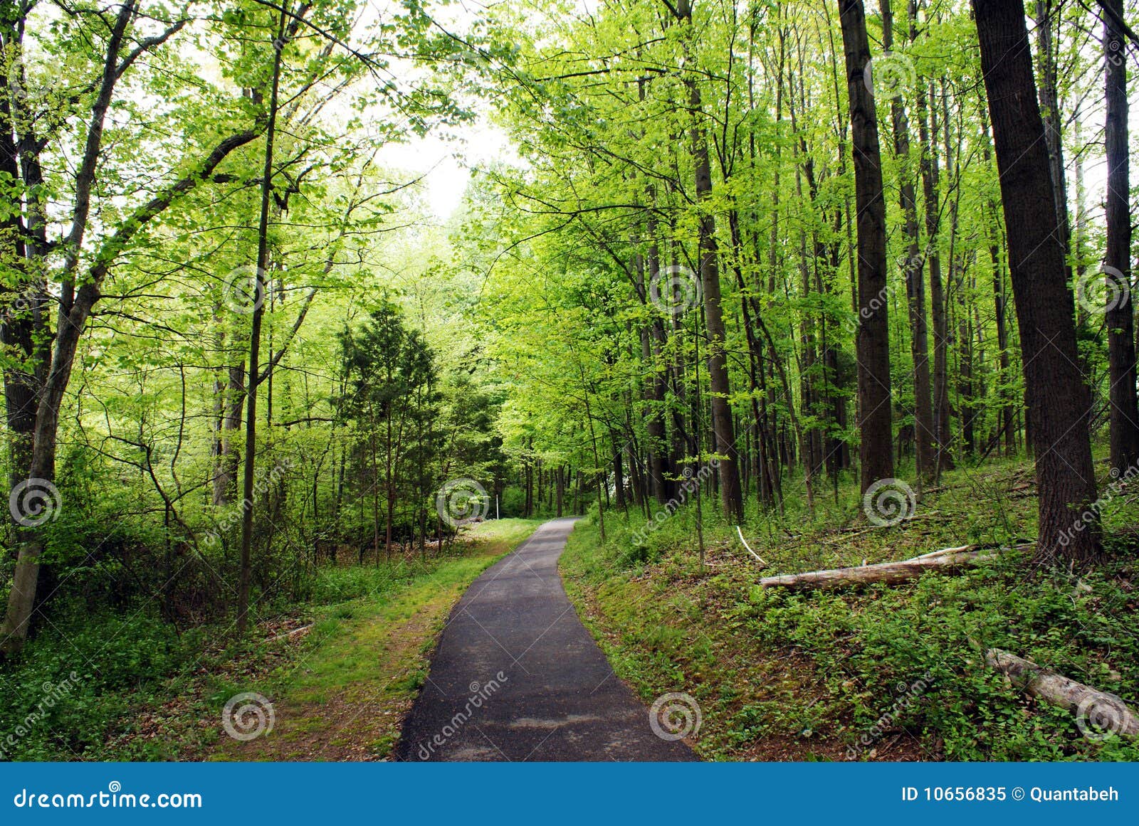 Walking trail stock image. Image of path, stroll, trail - 10656835