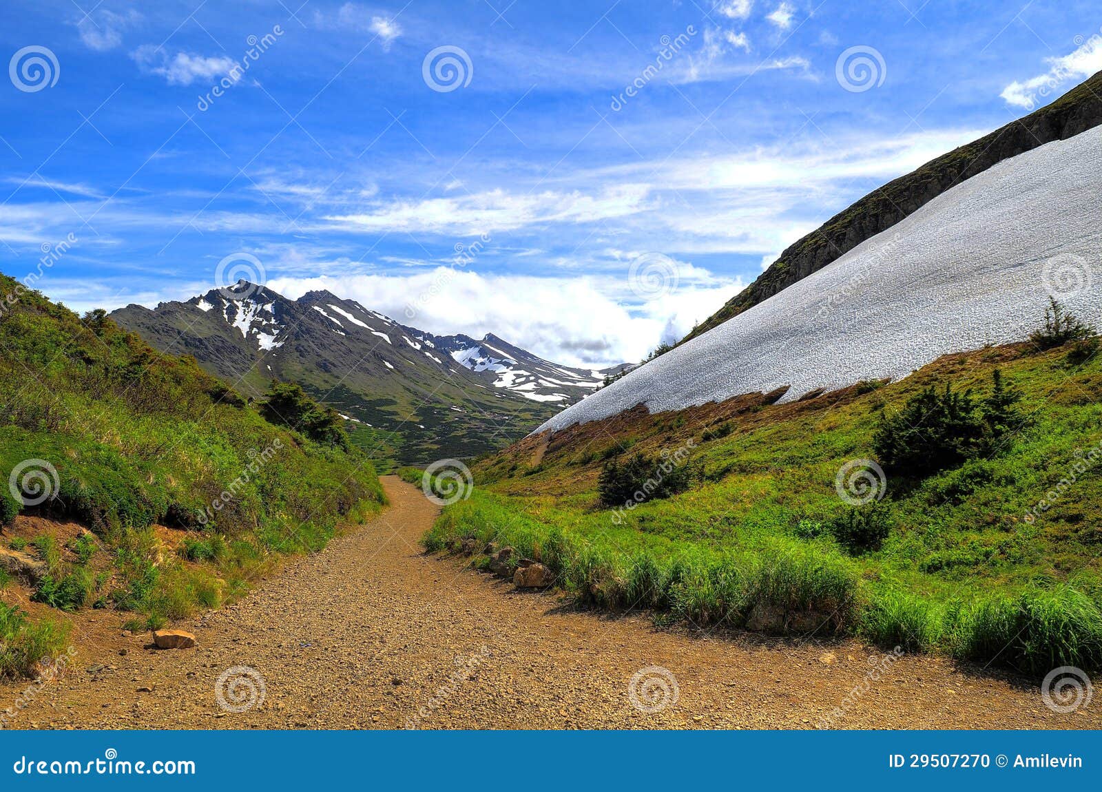Walking Trail in Alaskan Mountain Editorial Image - Image of blue ...