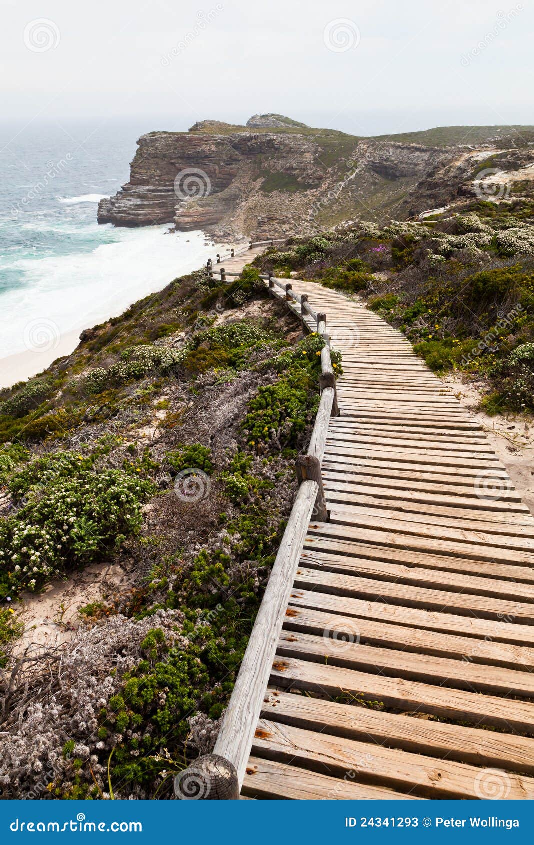 Walking Trail Along the Coast Stock Image - Image of south, nature ...