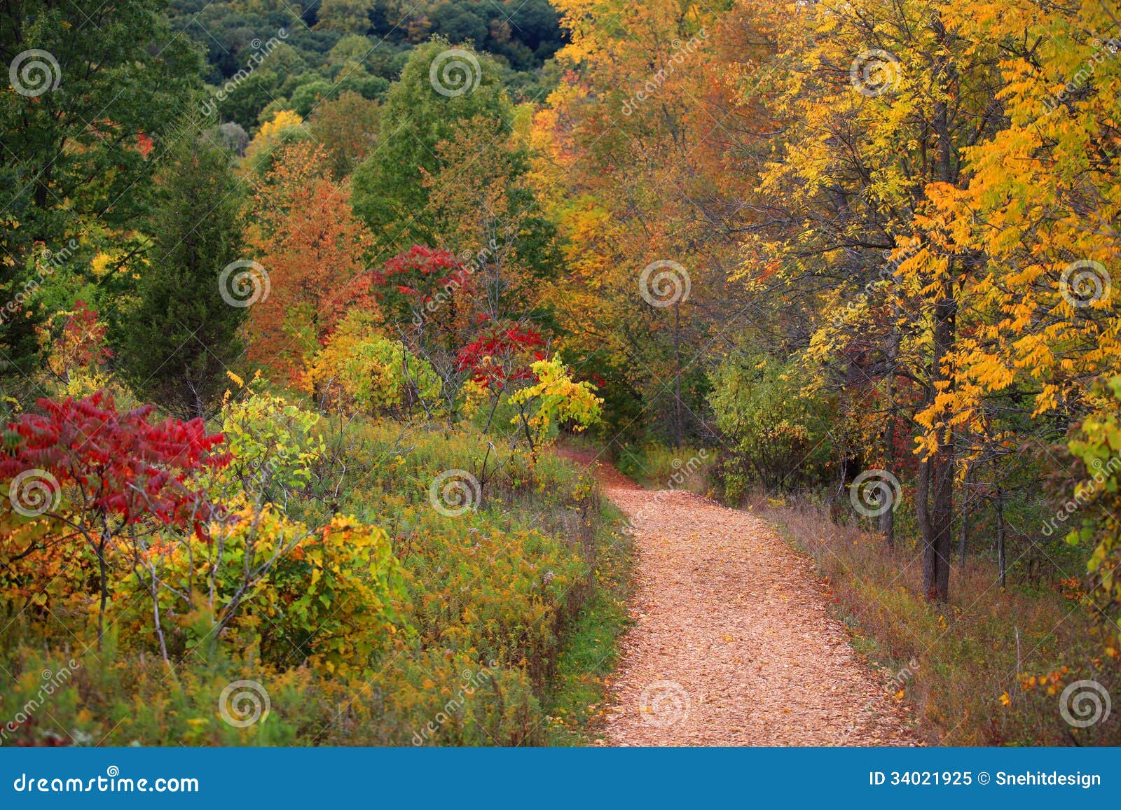 Walking trail stock image. Image of native, september - 34021925
