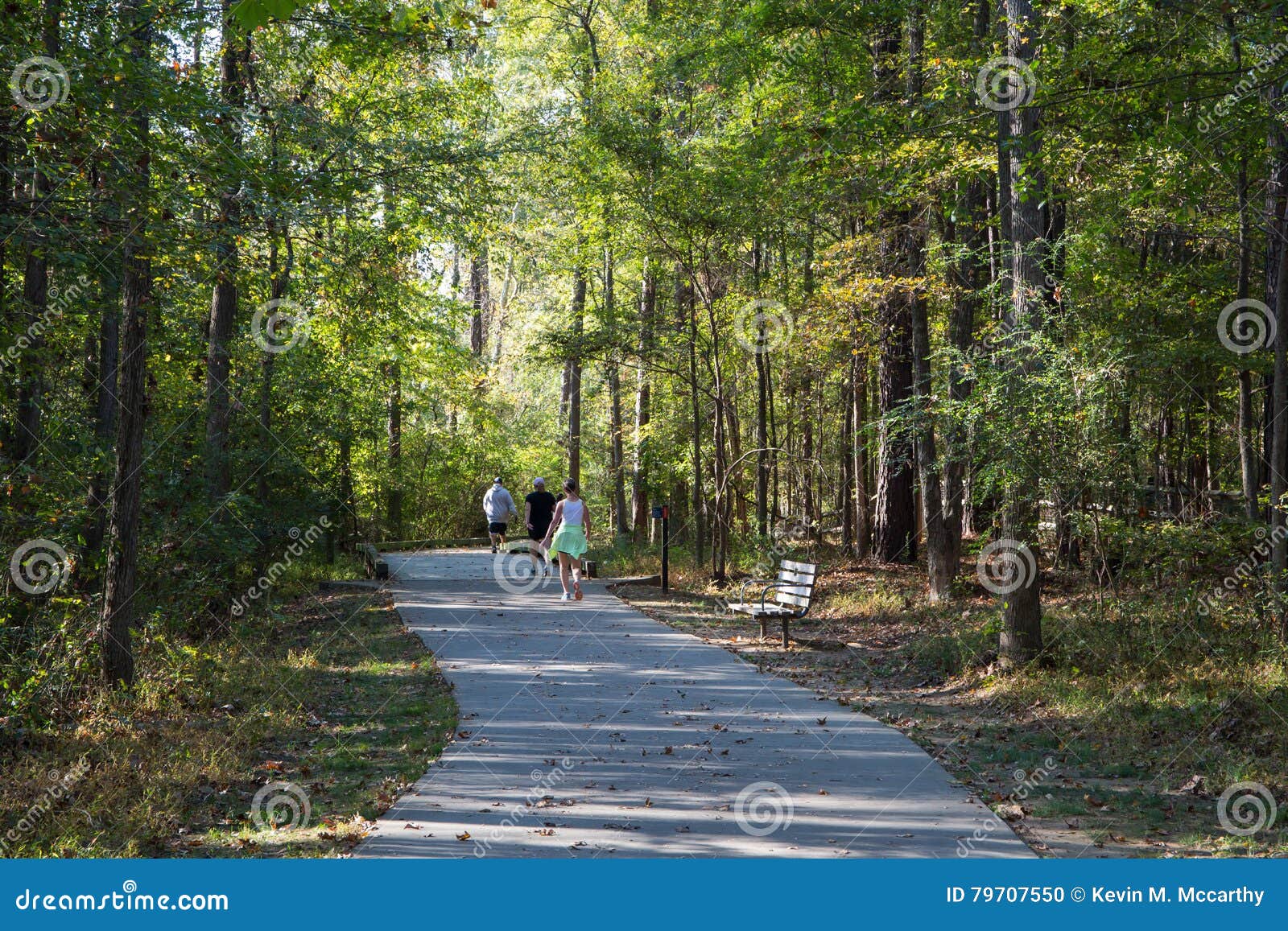 Walking Trail through a Forest Editorial Image - Image of sunny, hiking ...