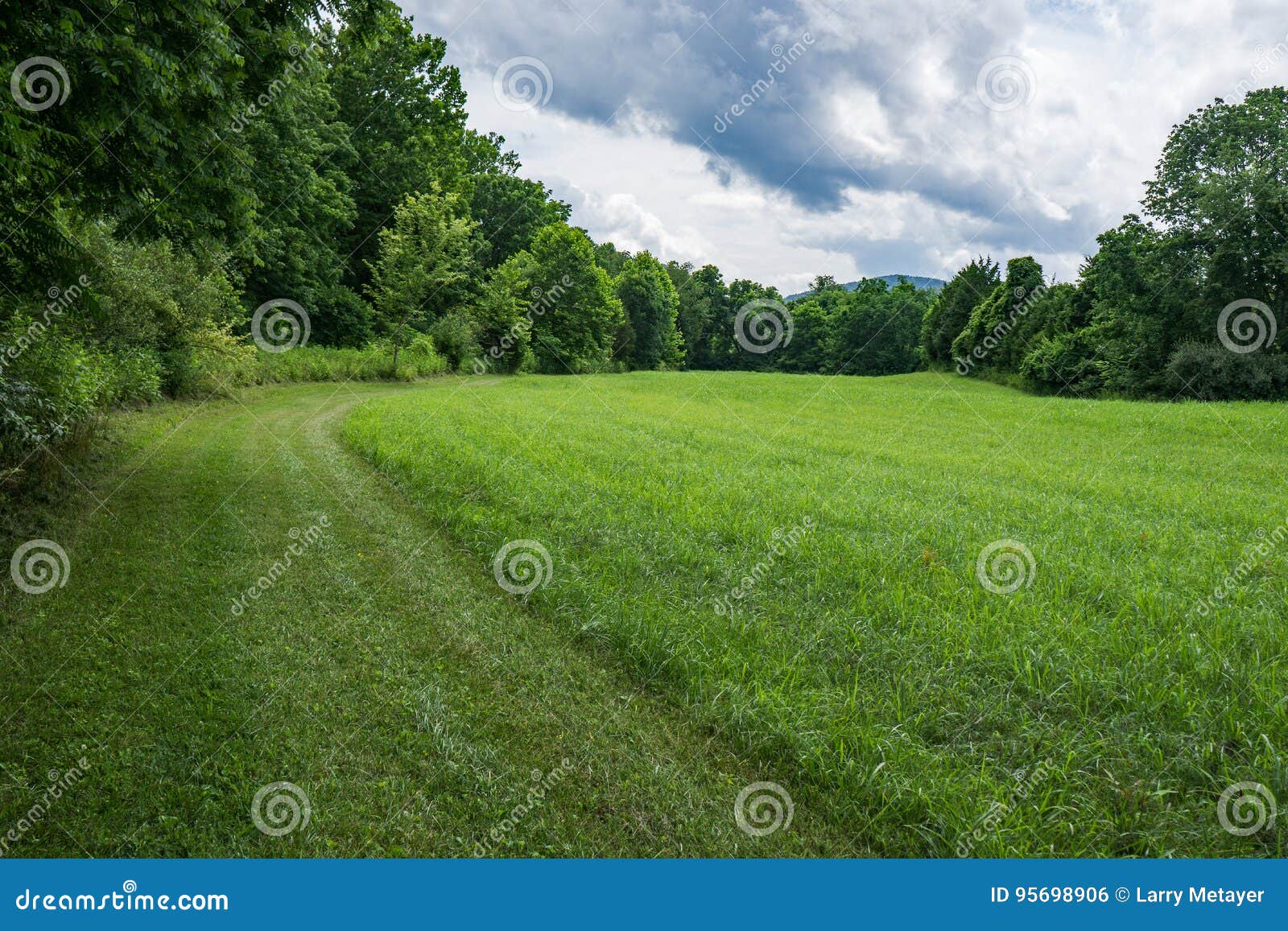 A Walking Trail through a Meadow Stock Photo - Image of awesome ...