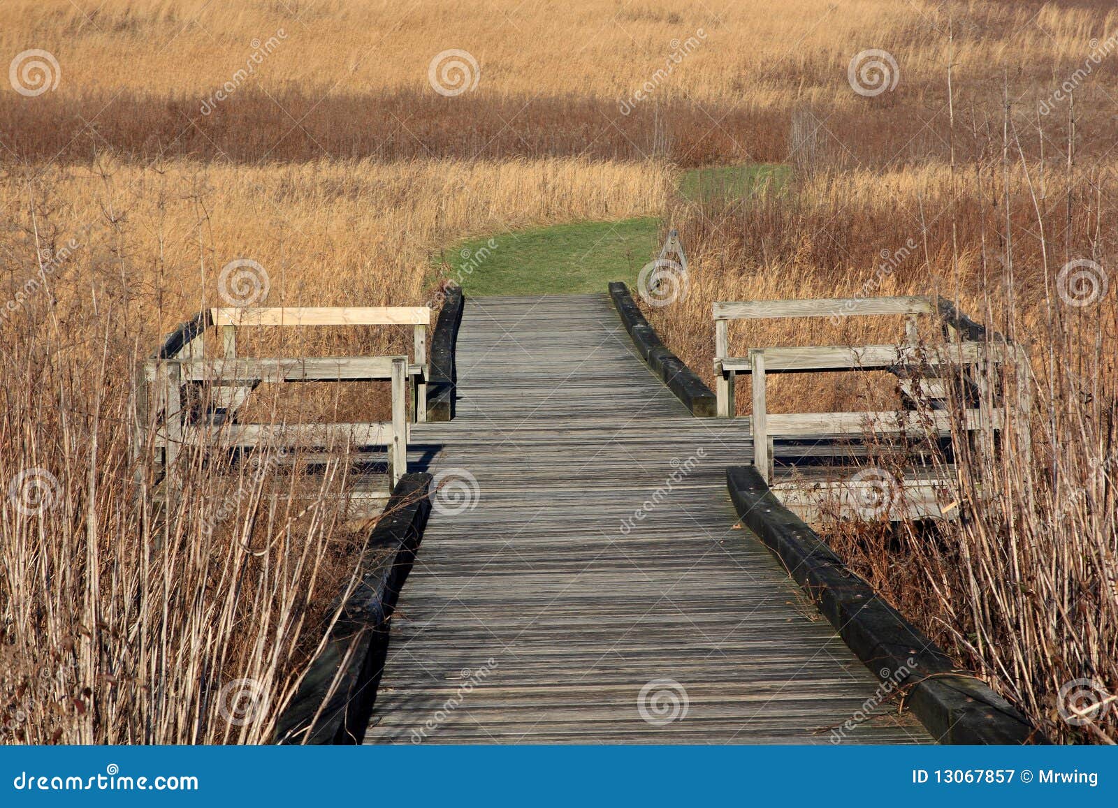 Walking Trail with Observation Deck in a Meadow Stock Image - Image of ...