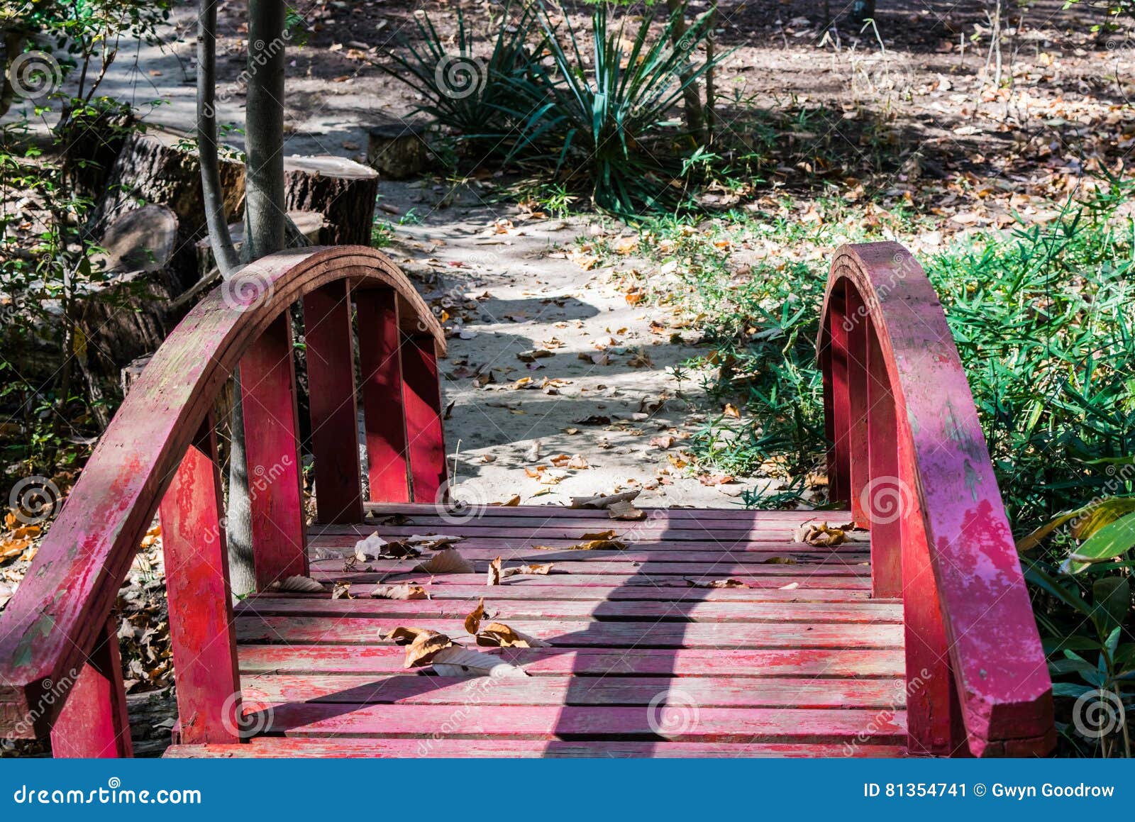 Walking Trail stock image. Image of national, nature - 81354741