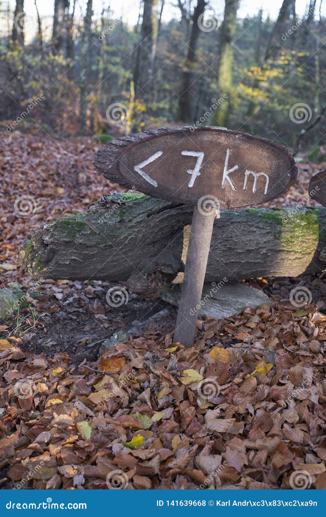 7 km to run or walk. stock photo. Image of karl, nature - 141639668