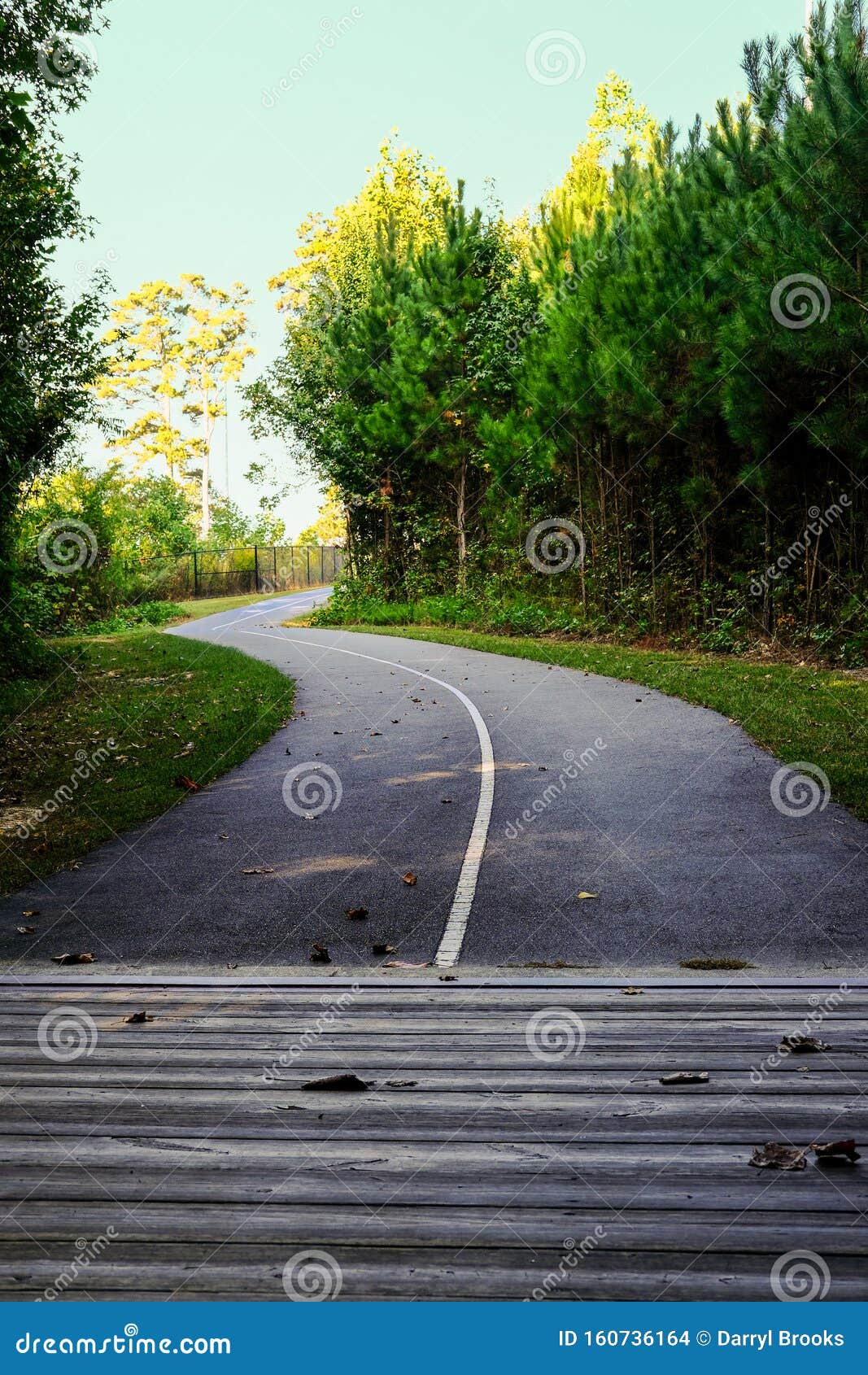 Walking Trail into Sunlight Stock Photo - Image of trees, recreation ...