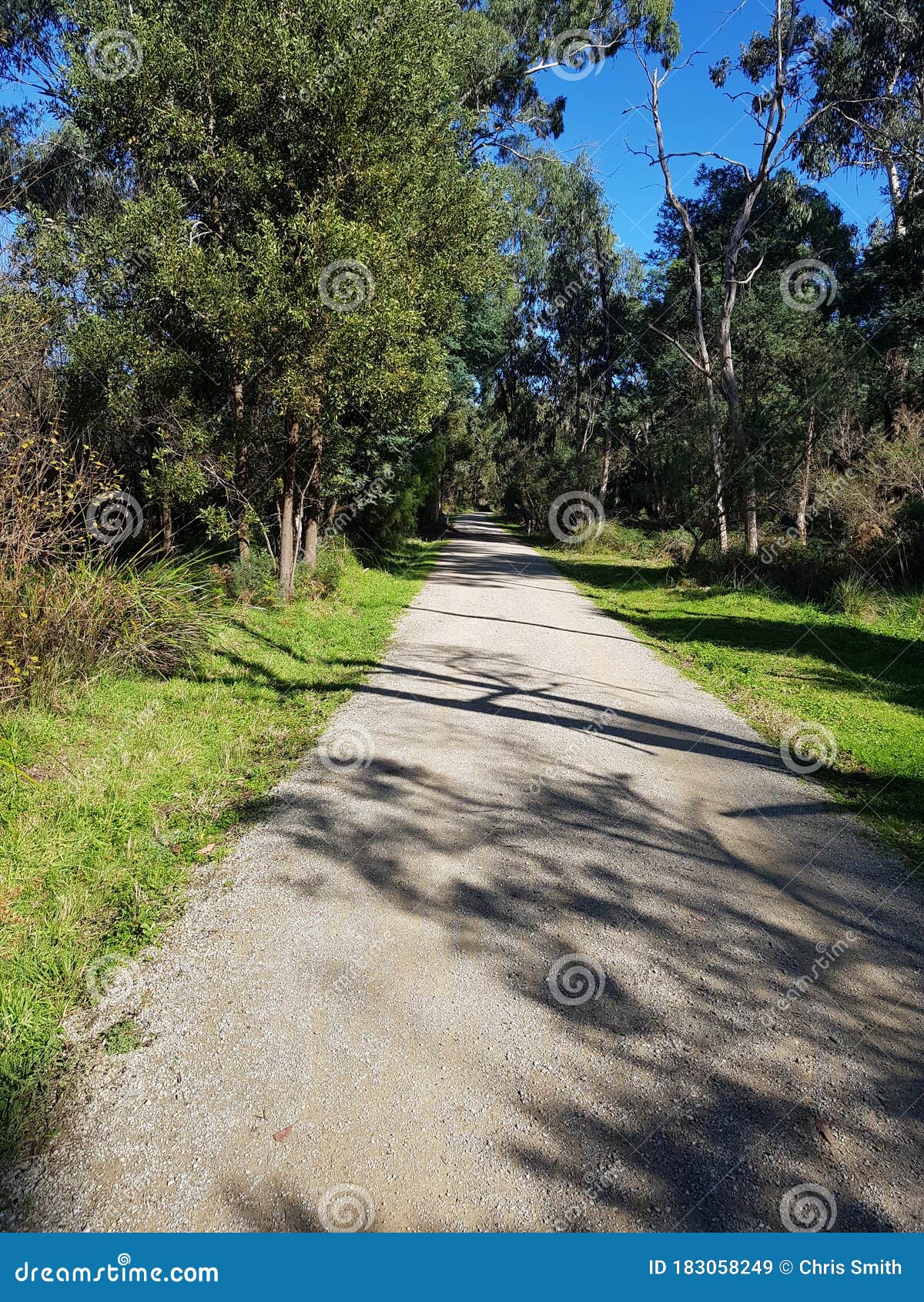 Walking Trail on a Sunny Day. Stock Image - Image of sunny, trail ...