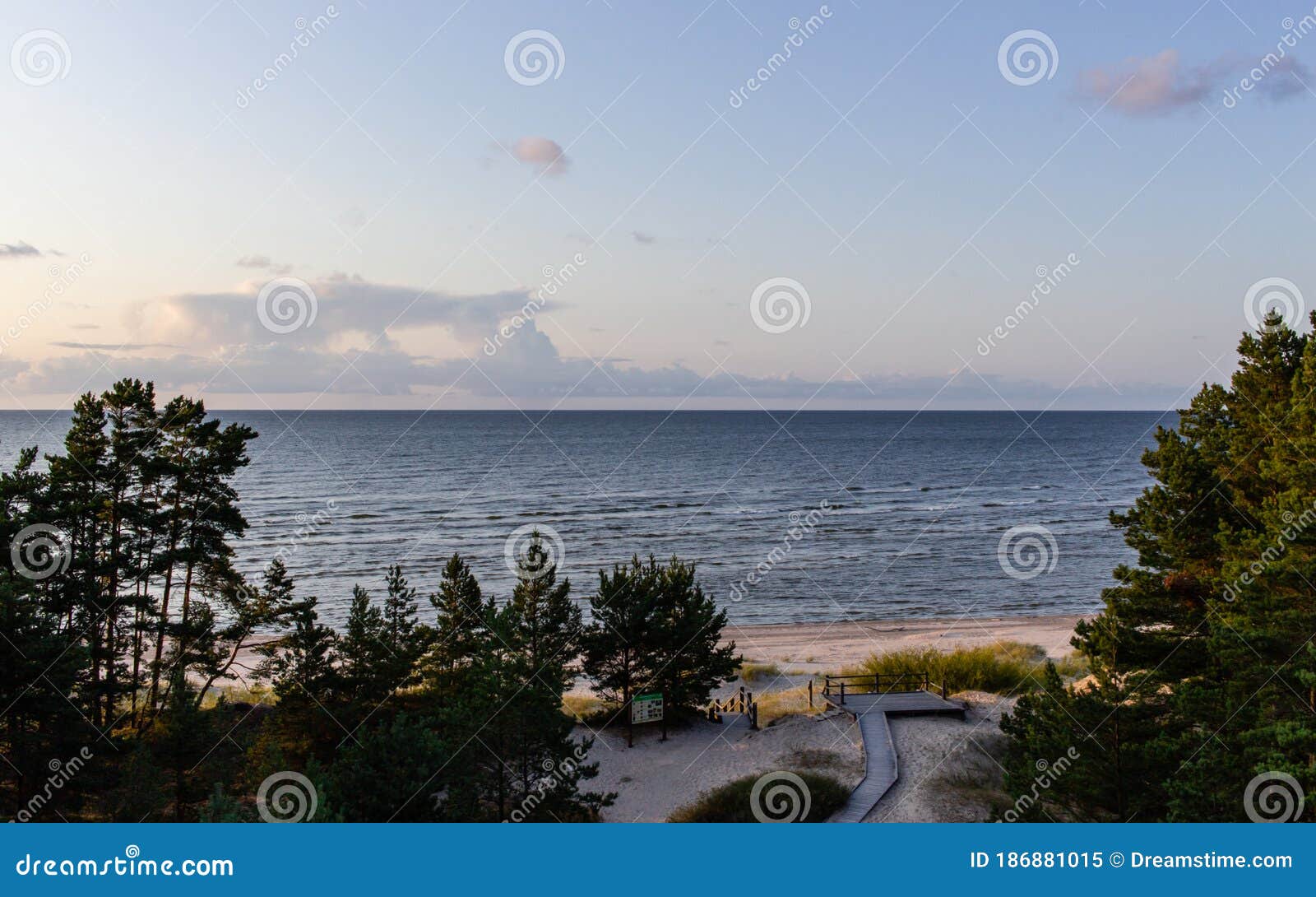 Walking Trail To the Beach in Forest Stock Image - Image of kolka ...