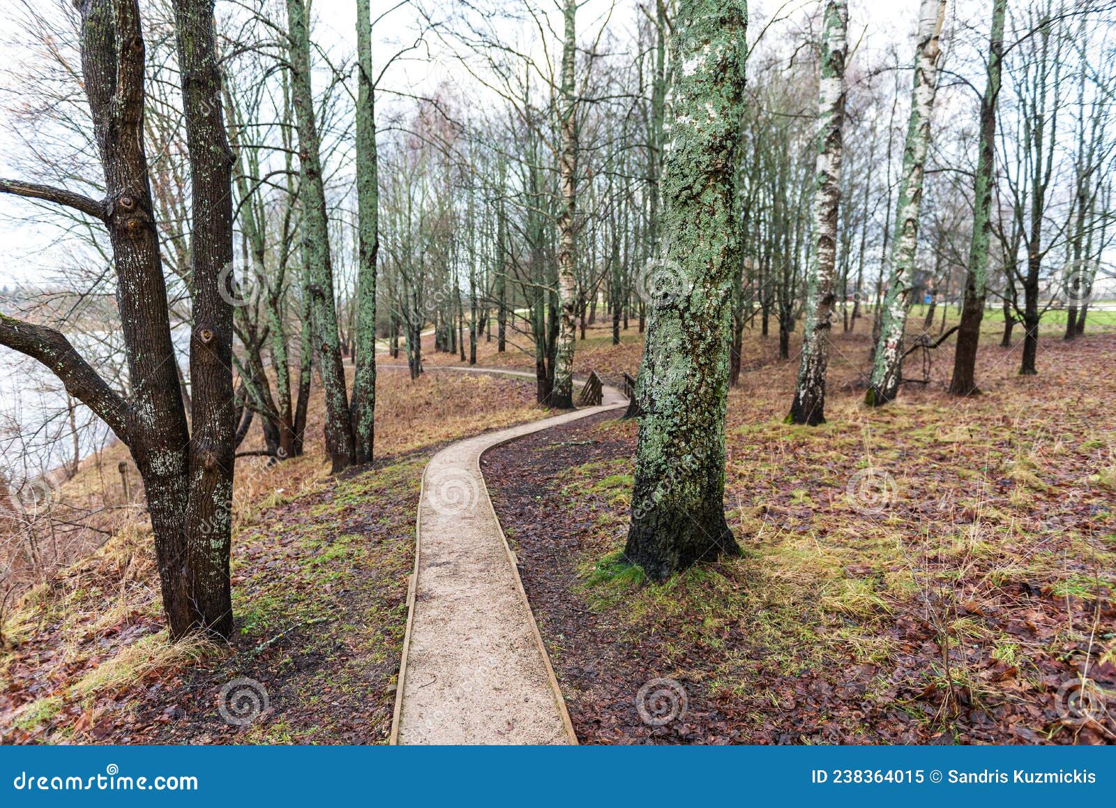 Walking Trail and Trees in the Park on a Snowless Winter Day Stock ...