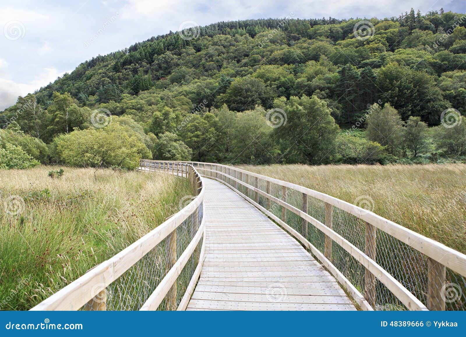 Walking Trails in Wicklow Mountains National Park. Stock Photo - Image ...