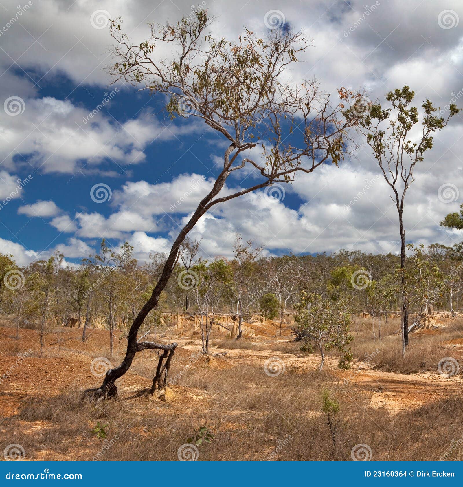 Soil Erosion By Overgrazing Desertification Royalty-Free Stock ...