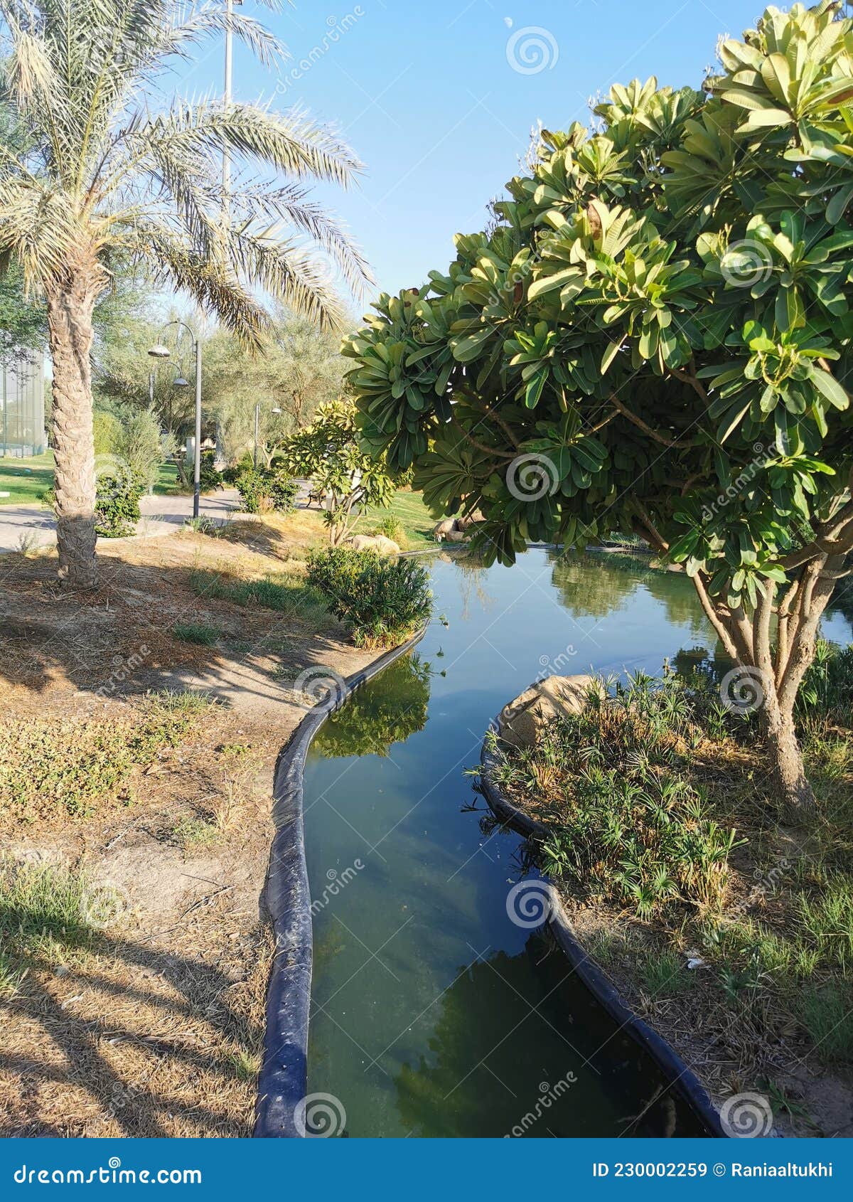 Sunlight is everywhere stock image. Image of resort - 230002259