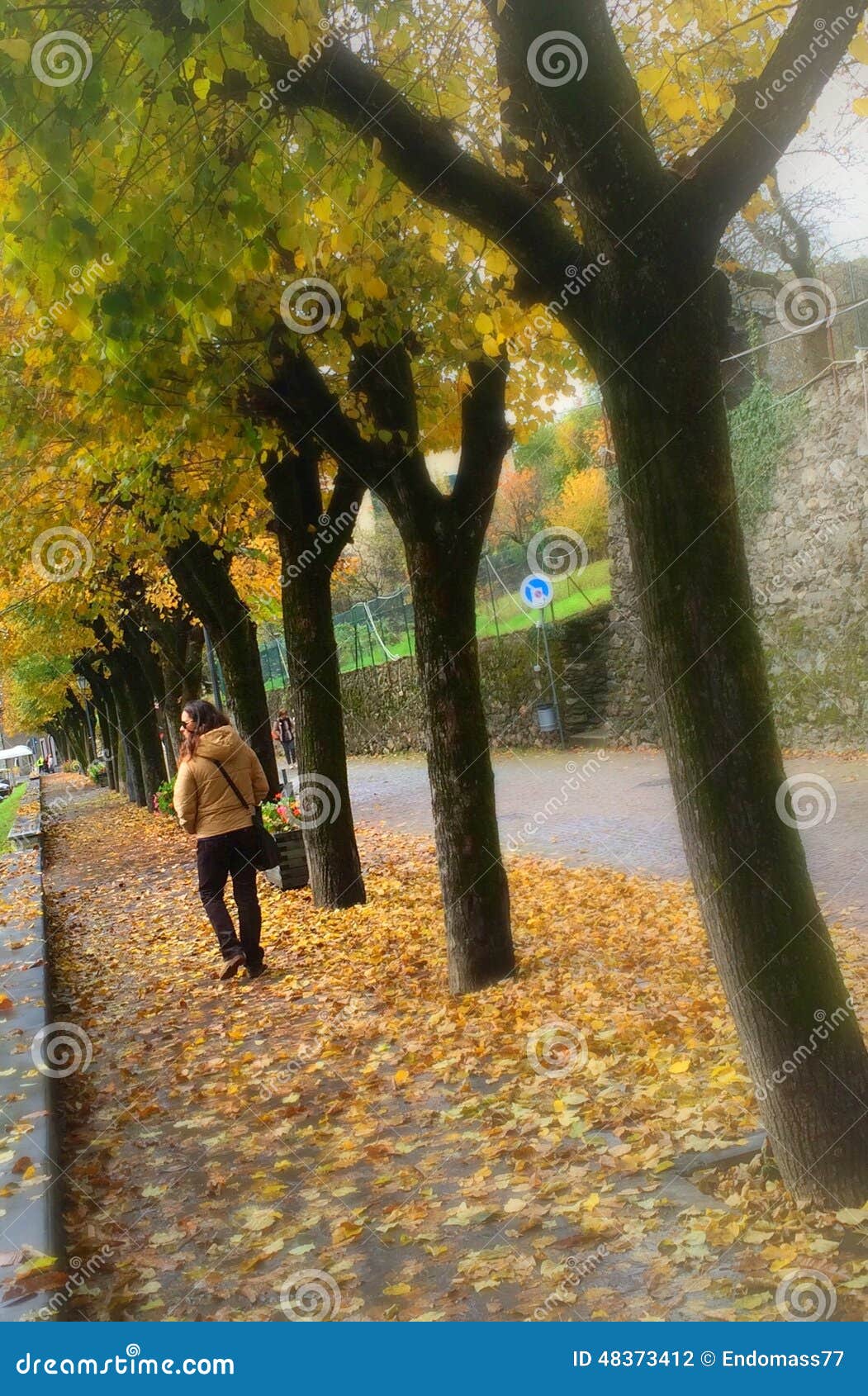 Walking under the trees editorial photography. Image of girl - 48373412