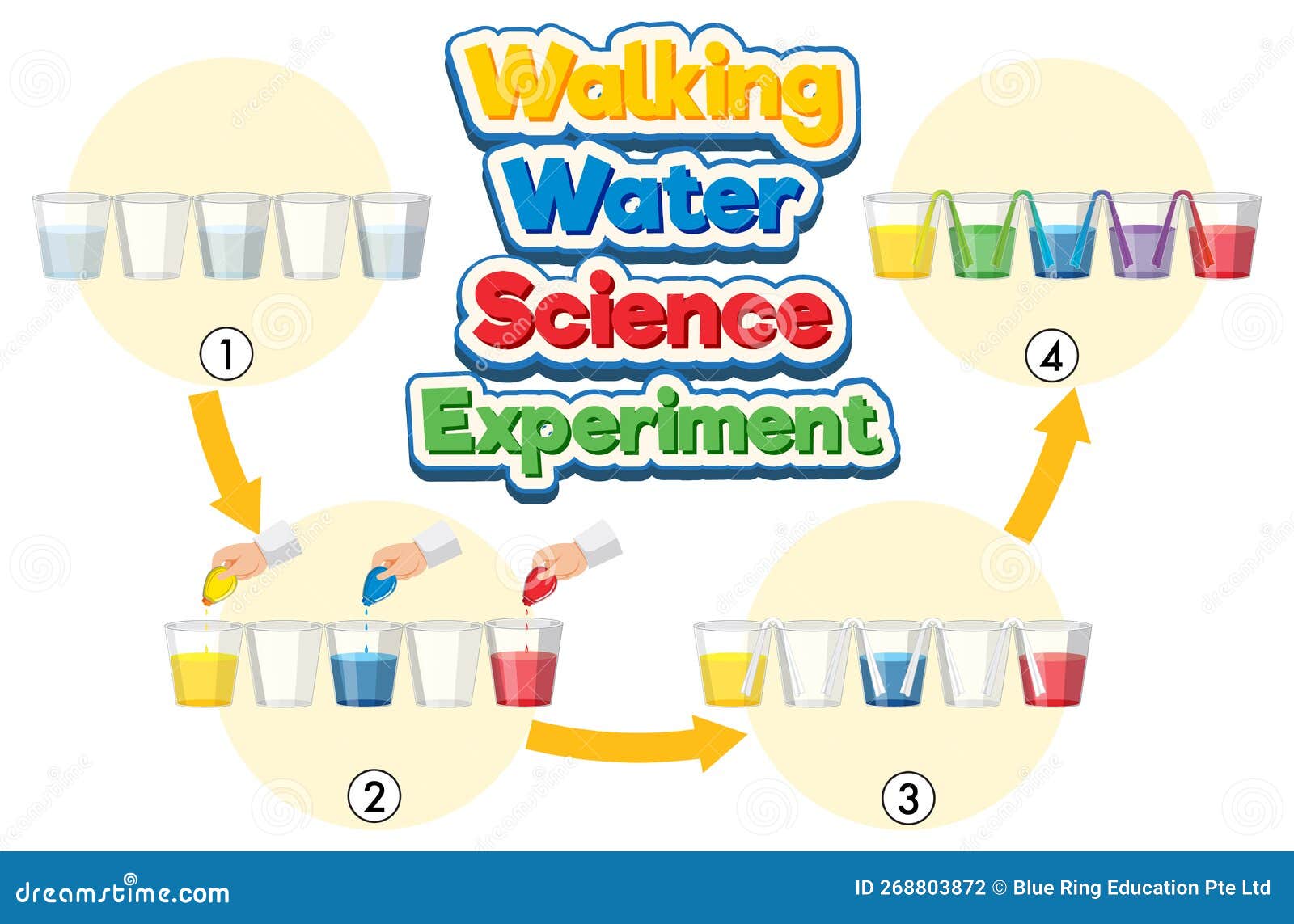 Walking Water Science Experiment Stock Vector - Illustration of natural ...