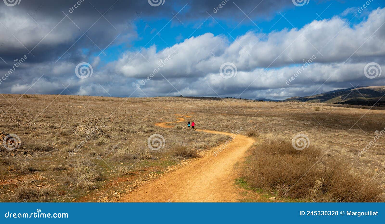 Walking way on wilderness stock photo. Image of adventure - 245330320