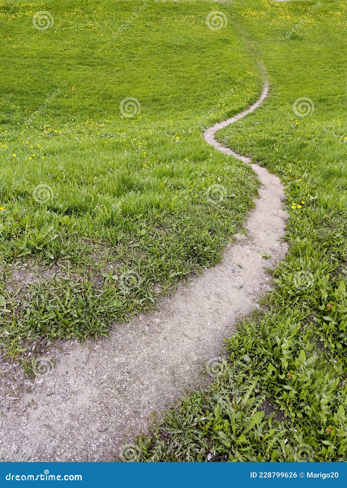 A walking winding path . stock photo. Image of country - 228799626