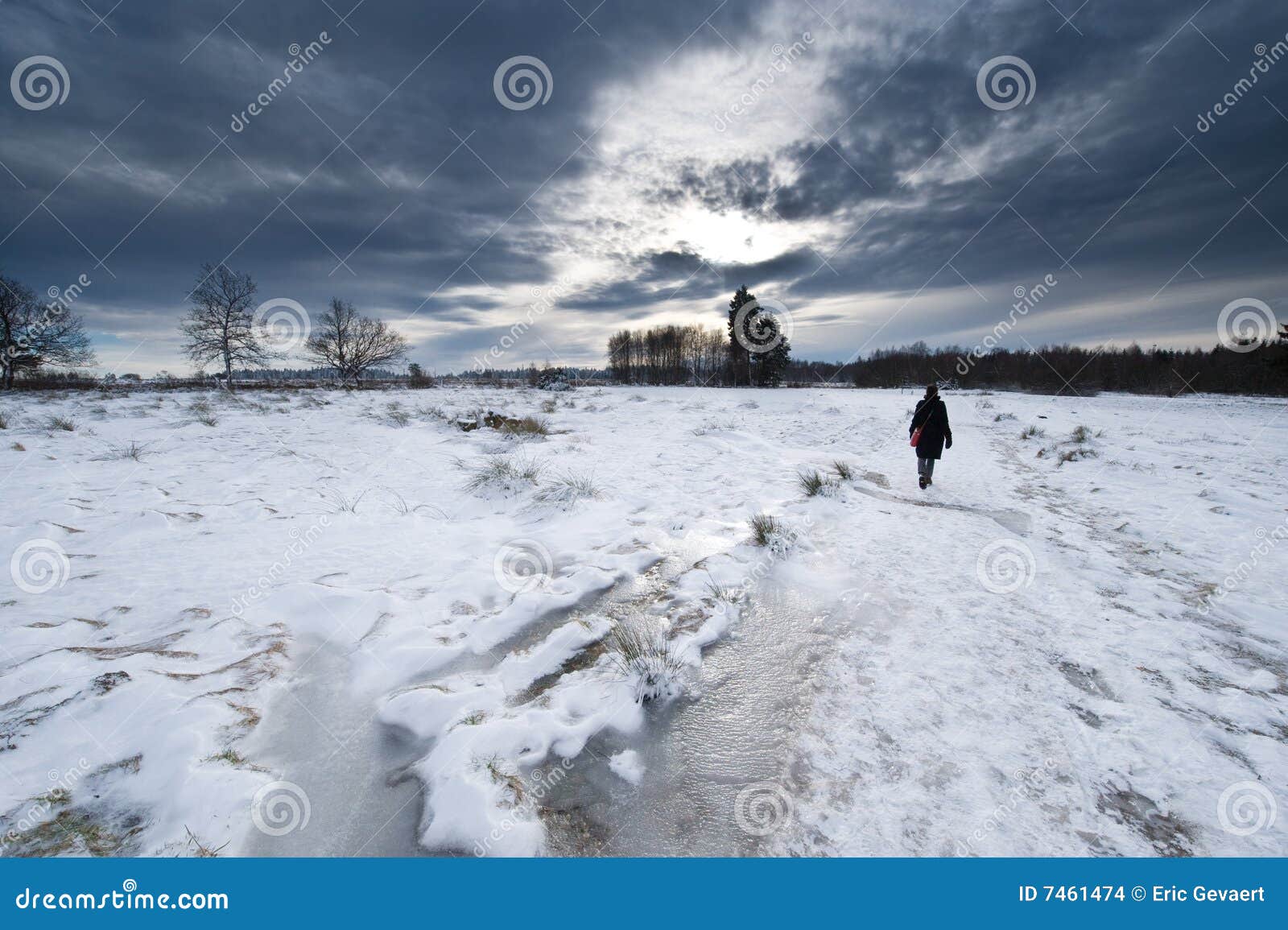 Walking through a Winter Landscape Stock Photo - Image of country ...