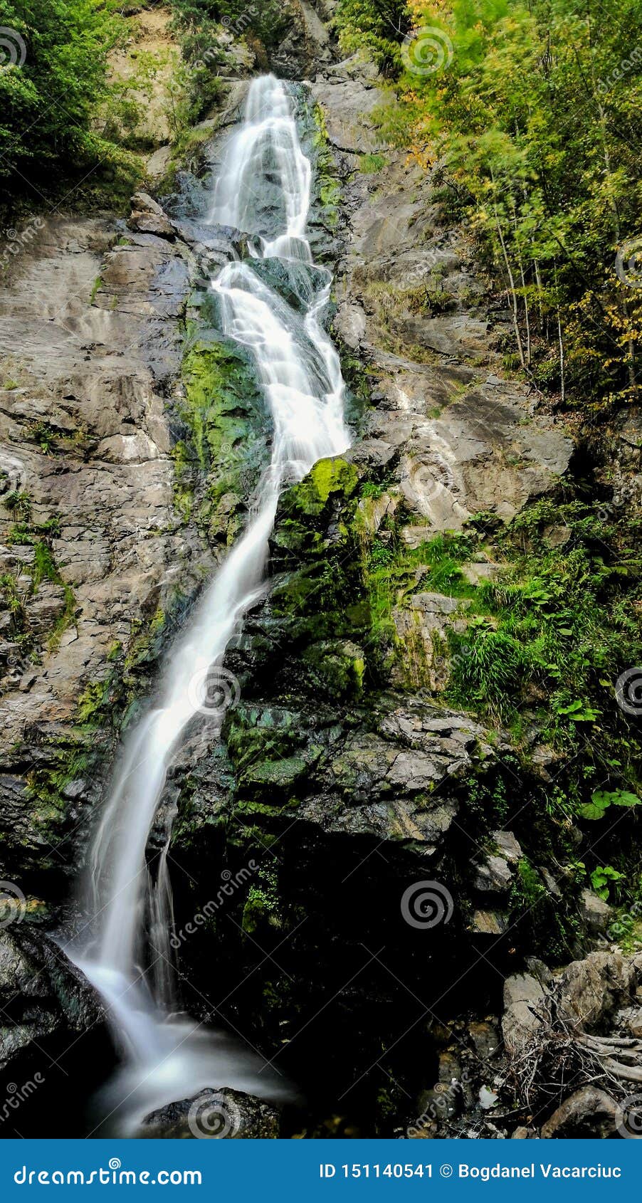 Walking through a Wonderful Mountain Forest, I Discovered a Gorgeous ...