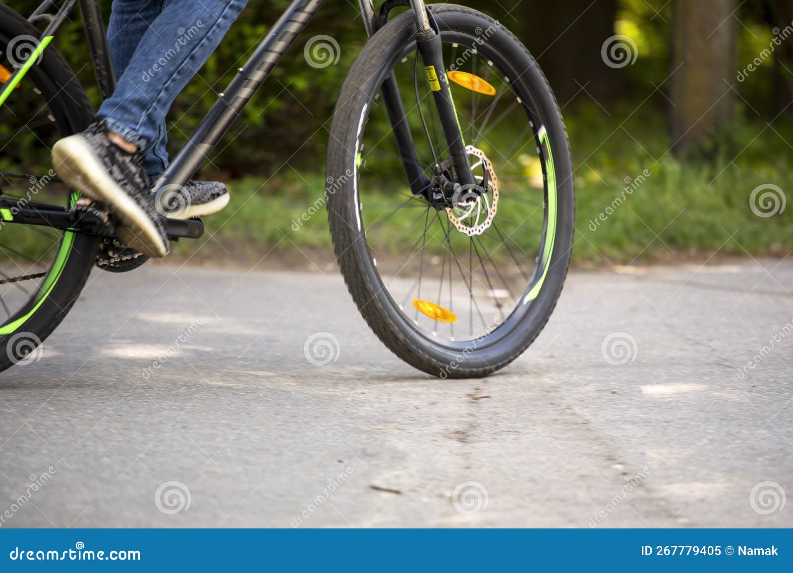 Walking in the Woods on a Bicycle, Horizontal Format Stock Image ...