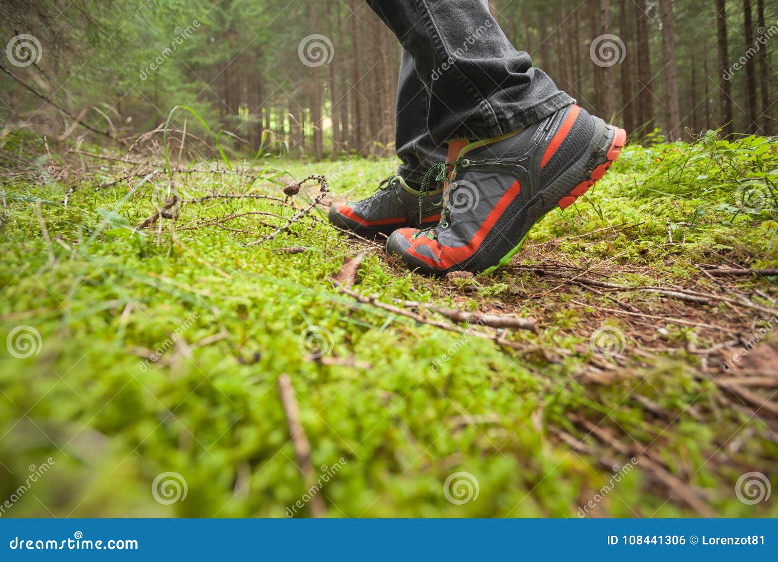 Walking in the Woods Long a Path Stock Photo - Image of outdoor, woods ...
