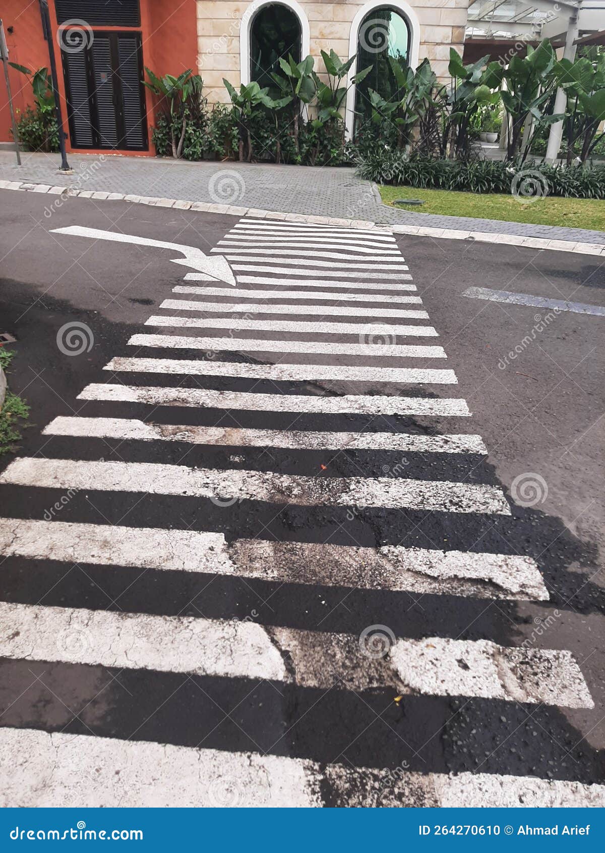 Walking on zebra cross stock photo. Image of lanscape - 264270610