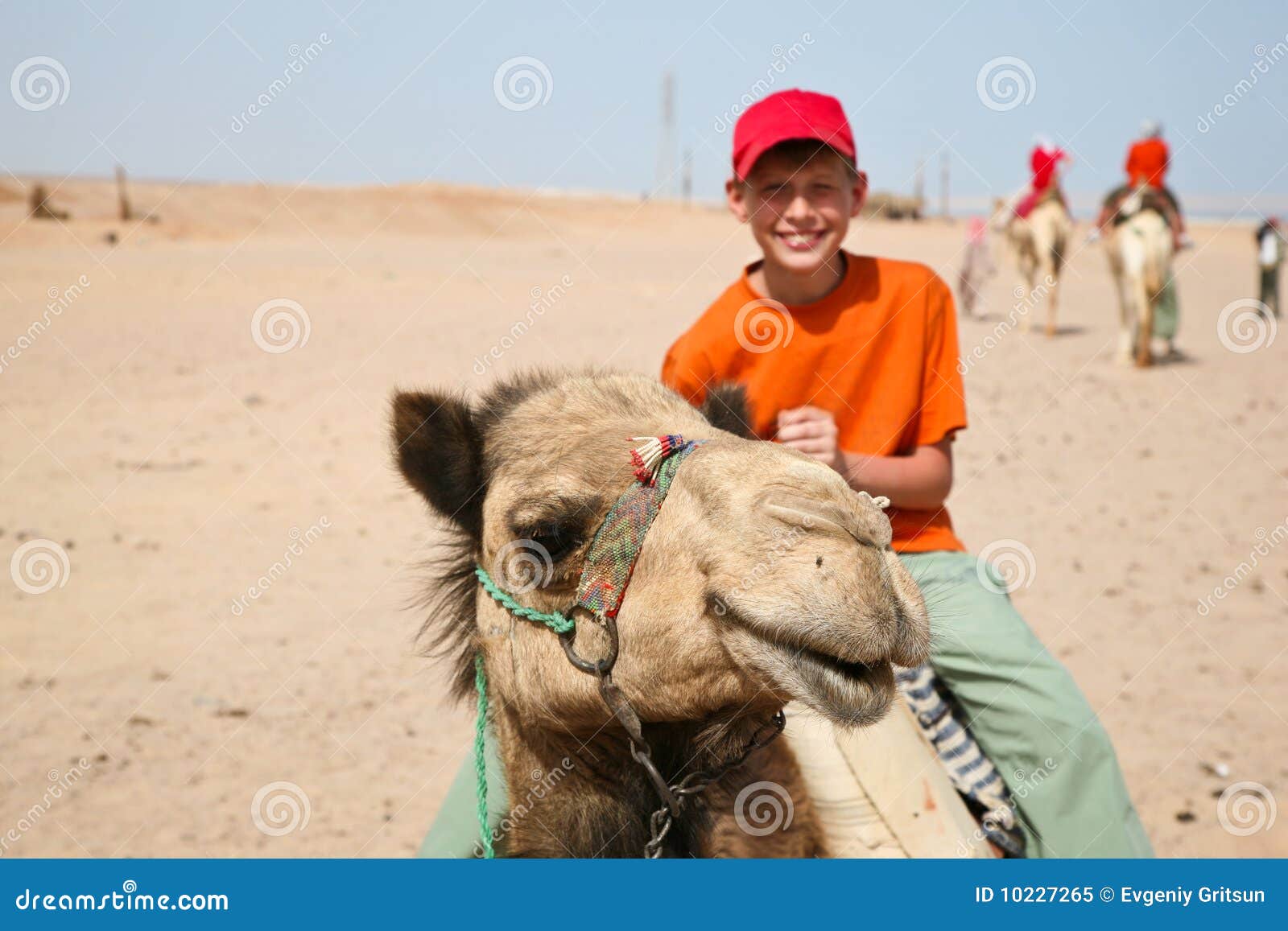 Walks on a camel stock image. Image of nature, walk, heat - 10227265