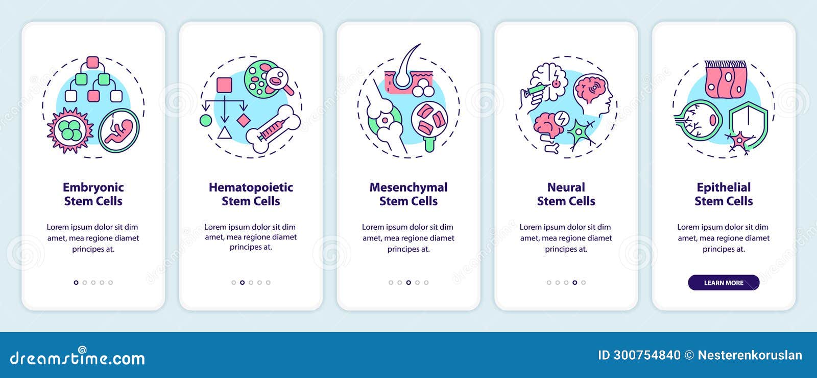 Walkthrough Types of Stem Cell with Colorful Thin Line Icons Stock ...