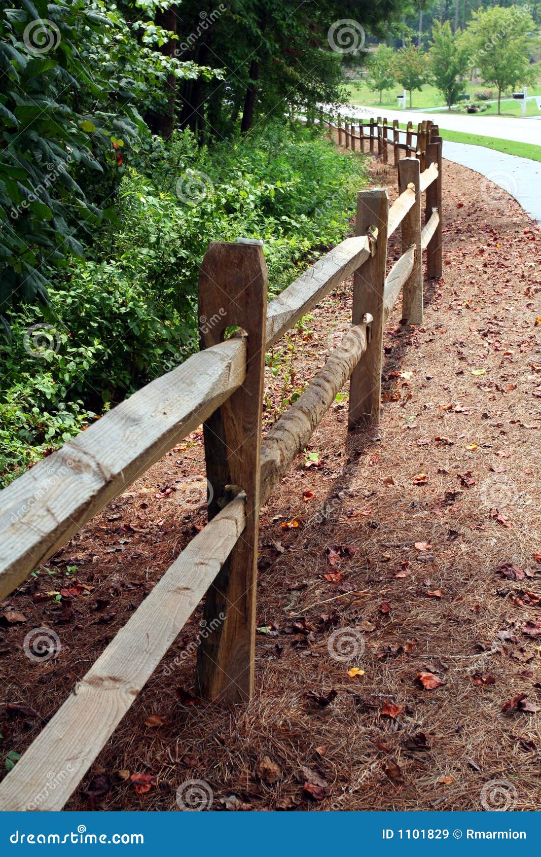 Walkway stock image. Image of path, trail, walkway, wood - 1101829