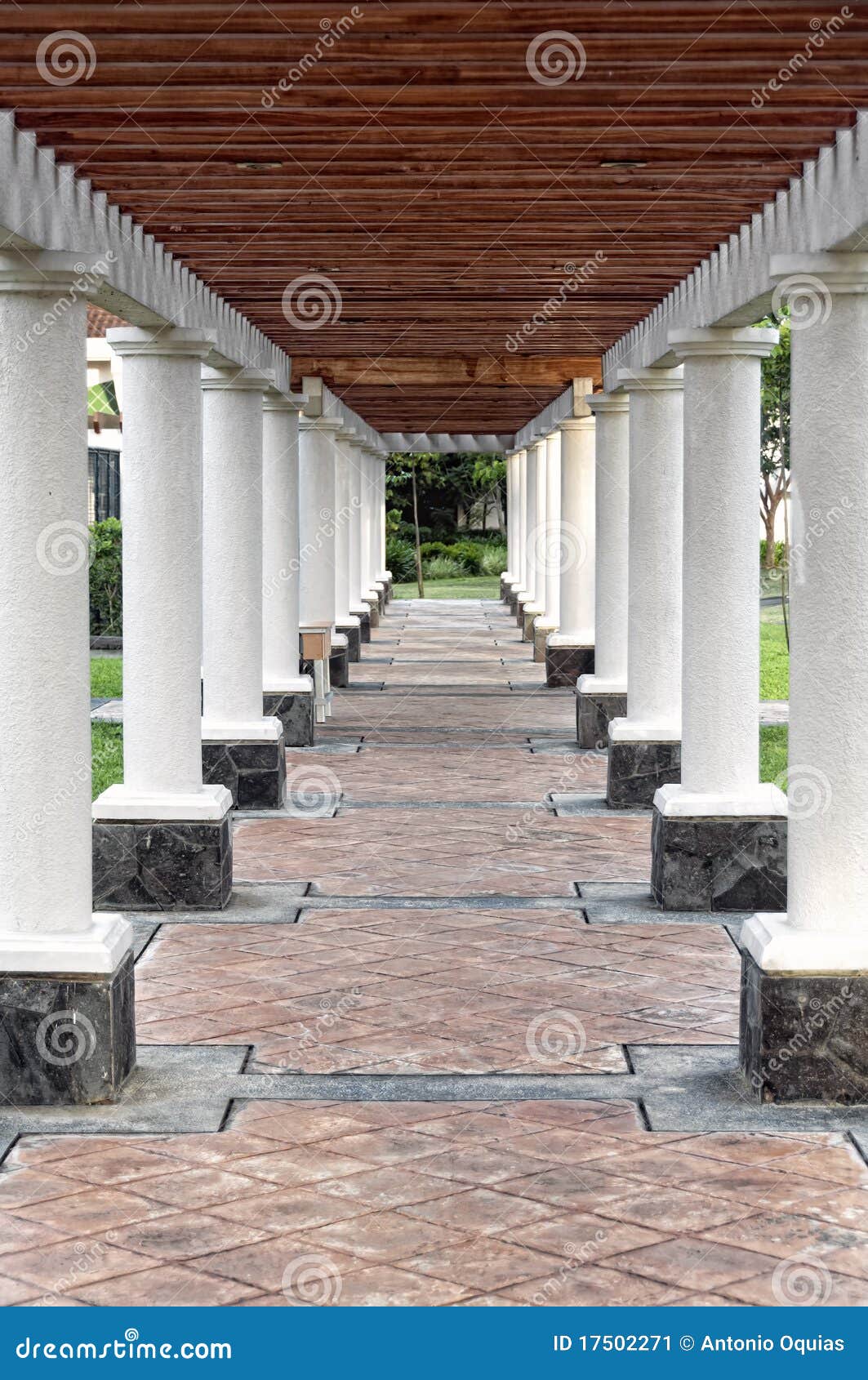 Walkway stock image. Image of path, wood, posts, trellis - 17502271