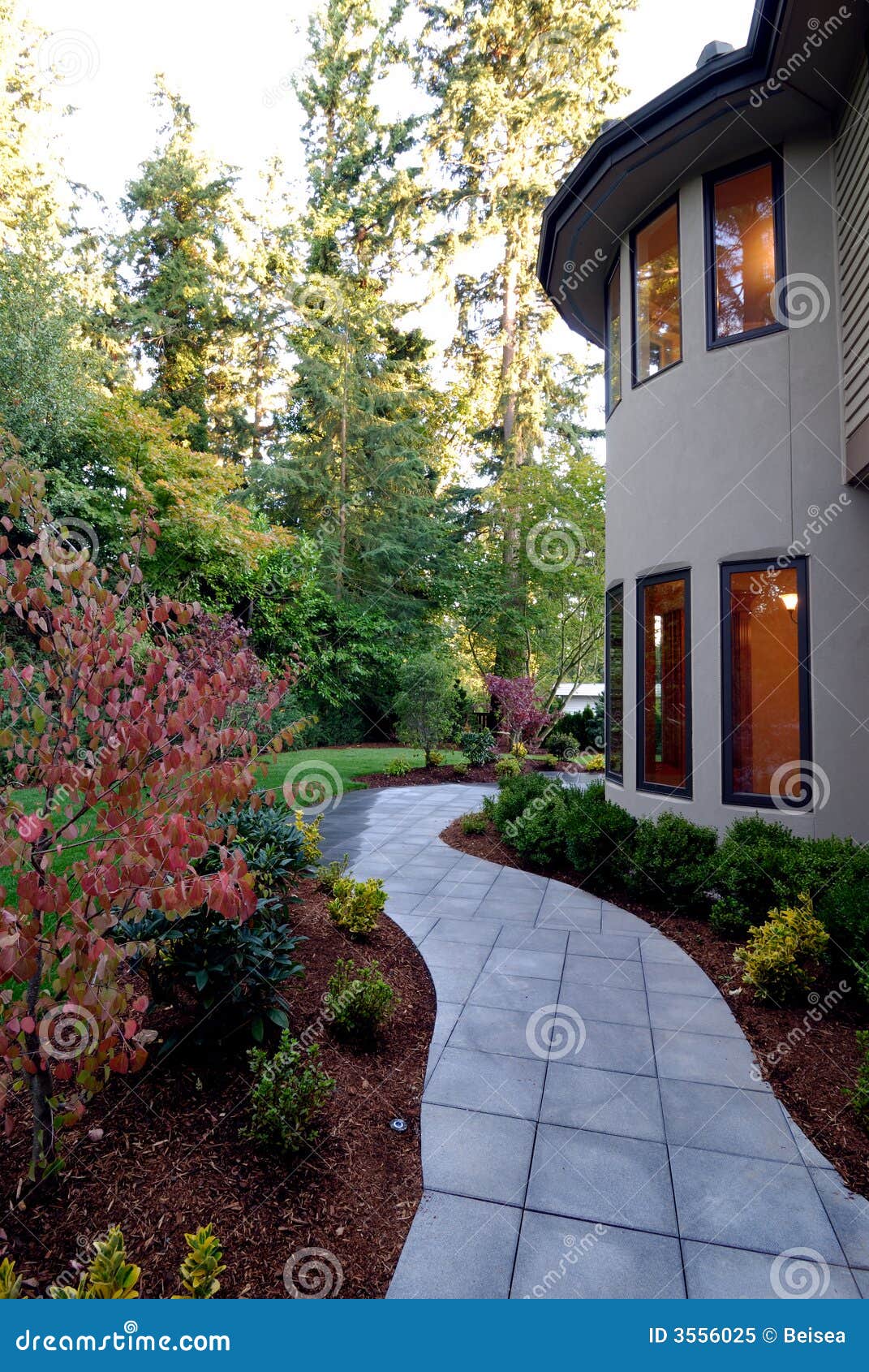 Walkway stock image. Image of green, fancy, tree, yard - 3556025