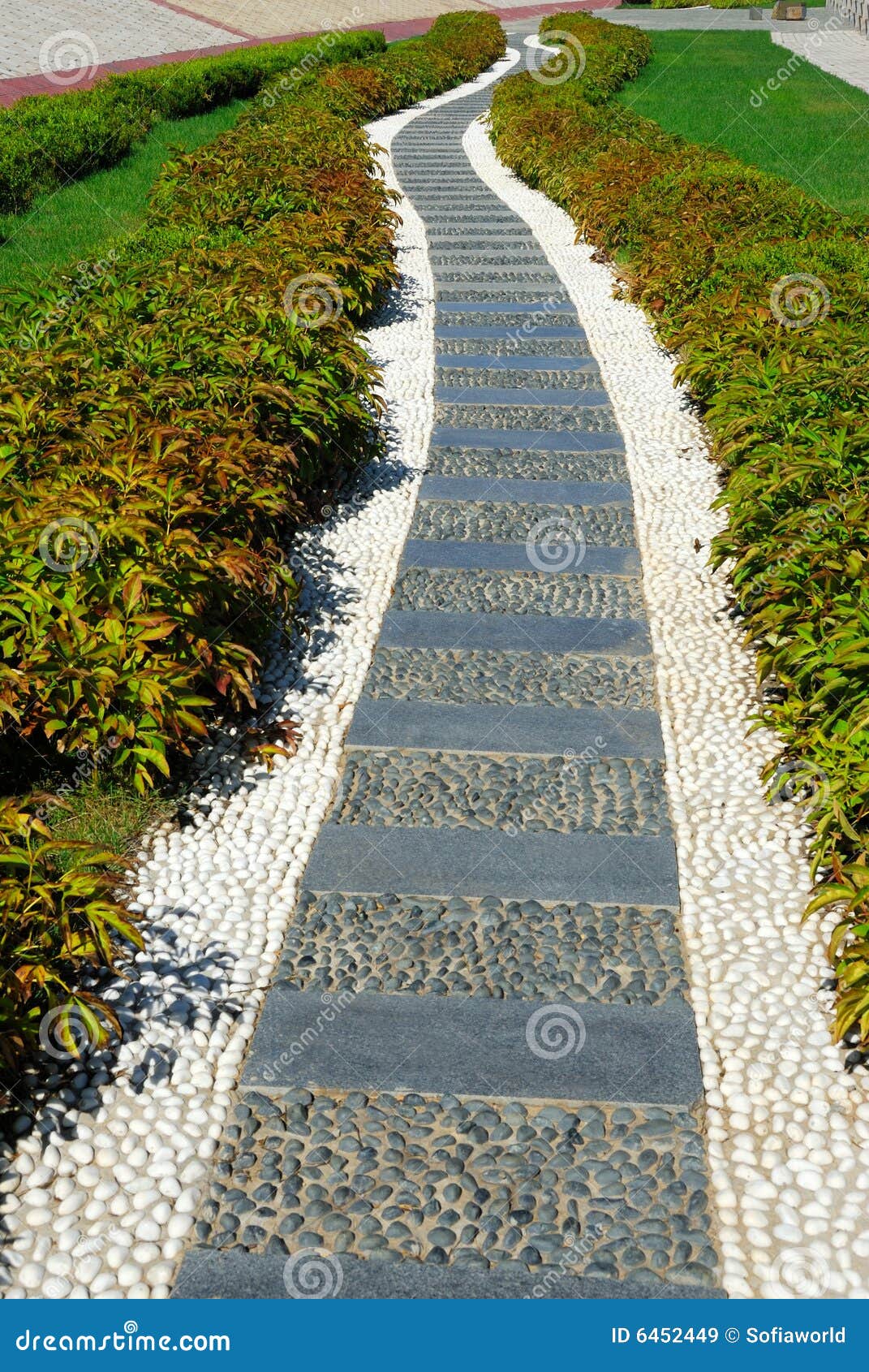 Walkway stock image. Image of path, interlocking, natural - 6452449