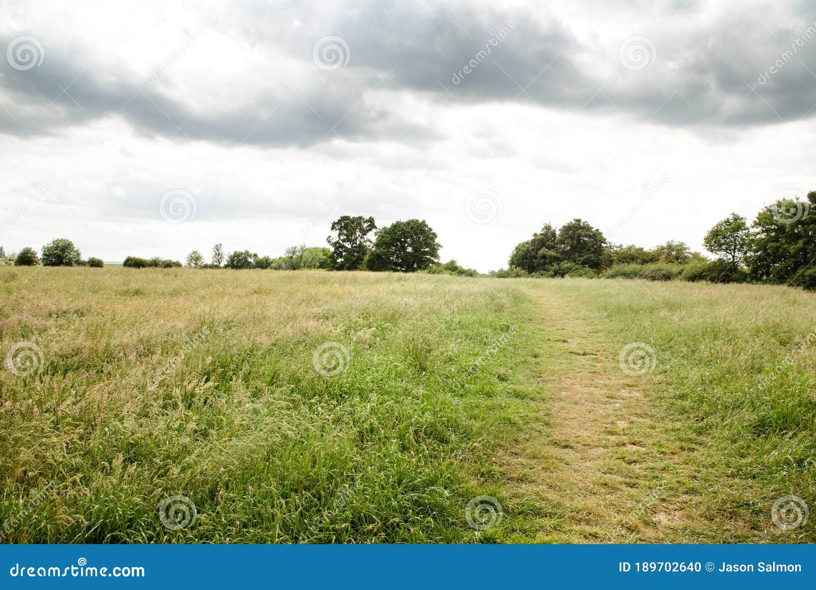 Walkway Along a Farmer Field Stock Photo - Image of hedgerow ...