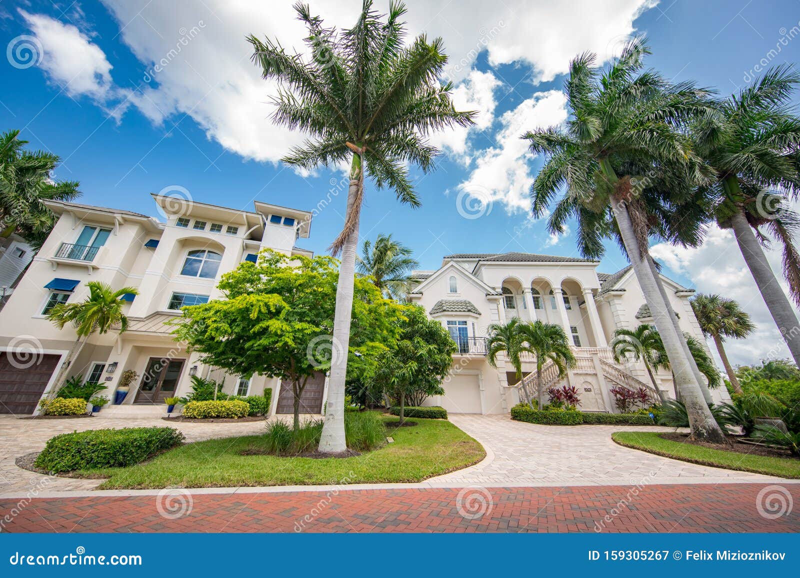 Walkway with Arching Trees Photo Stock Image - Image of arch, arching ...