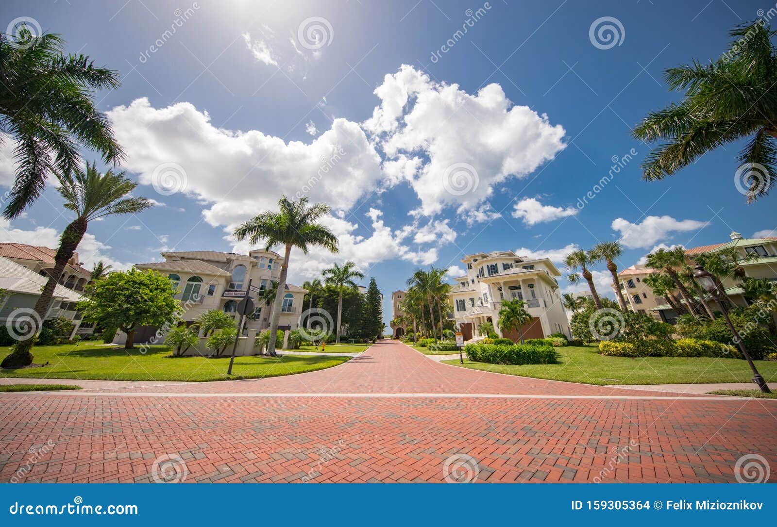 Walkway with Arching Trees Photo Stock Photo - Image of green, walkway ...