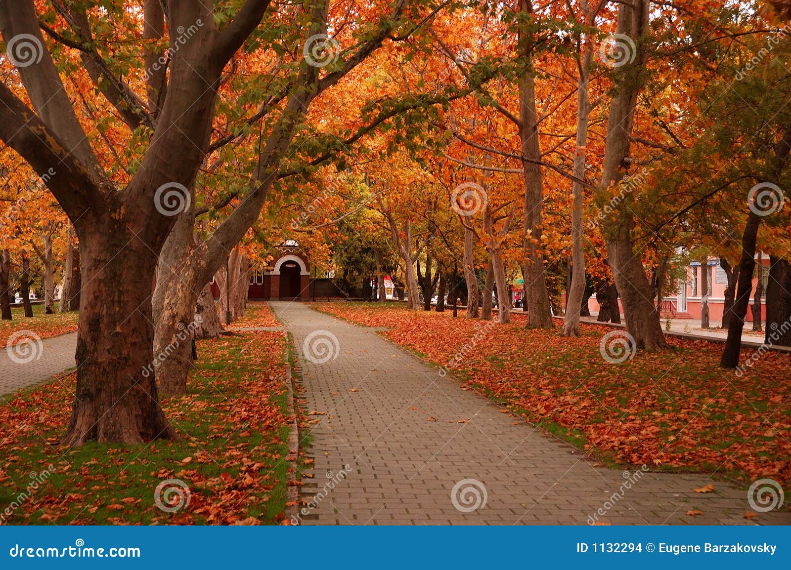 Walkway in autumn park stock photo. Image of orange, maple - 1132294