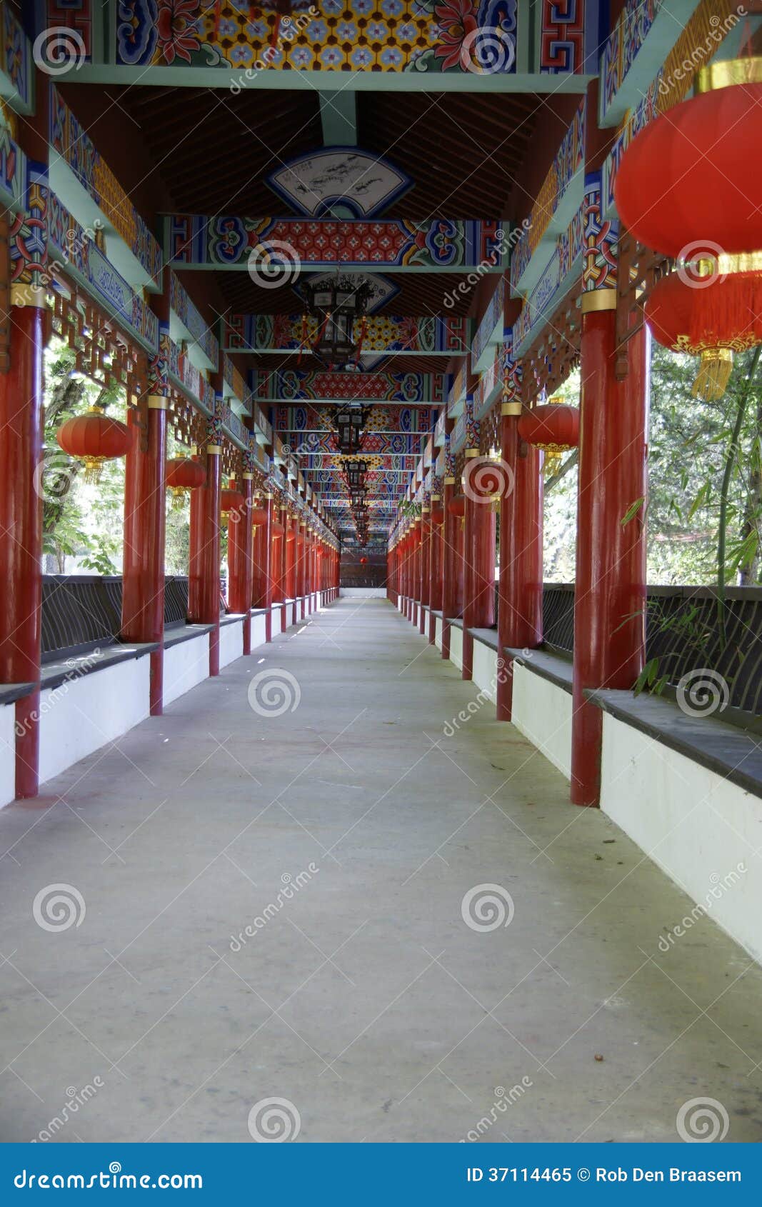 Walkway in the Bamboo Temple Stock Image - Image of lights, china: 37114465