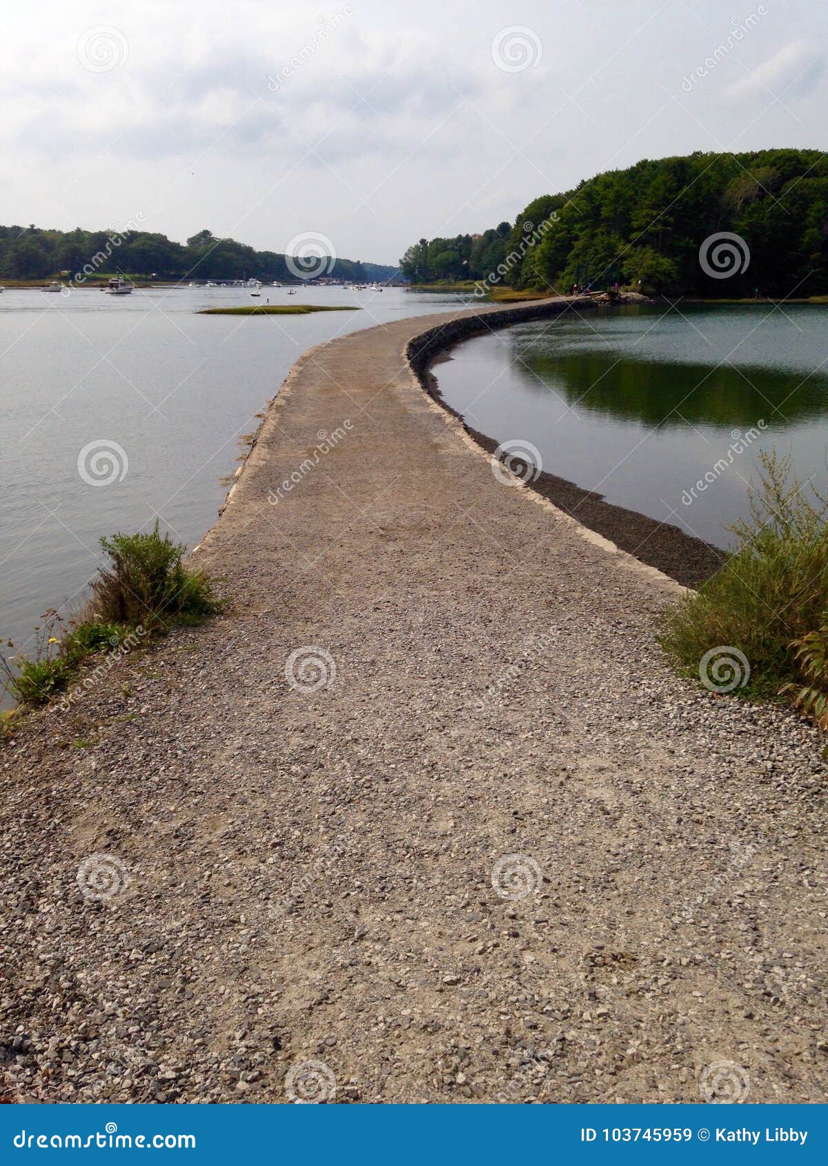 Walkway through the bay stock image. Image of trees - 103745959
