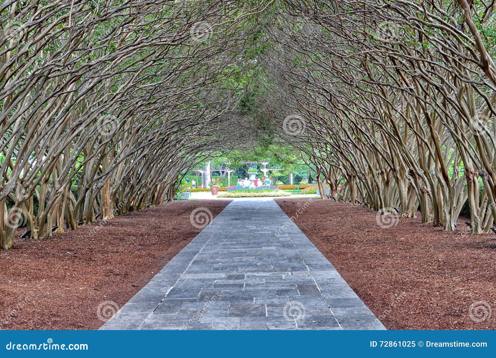 Walkway stock image. Image of captured, america, botanical - 72861025